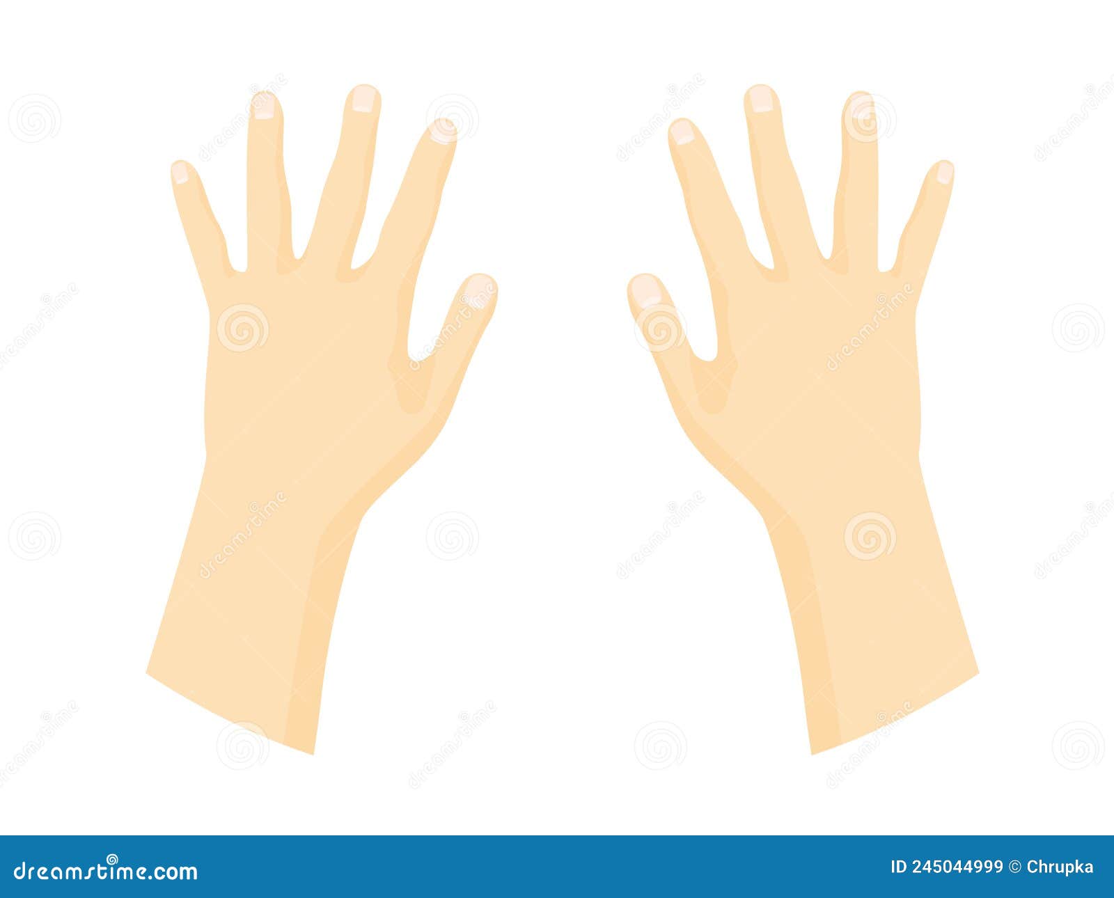 Back of human hands stock vector. Illustration of hand - 245044999