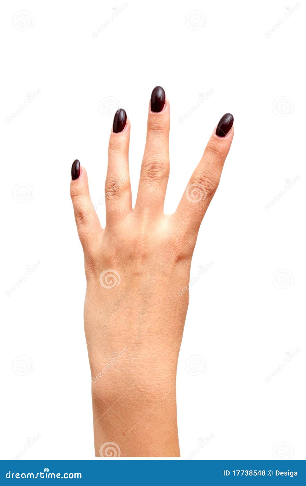Back Left Hand Four Fingers Royalty Free Stock Photos - Image: 17738548