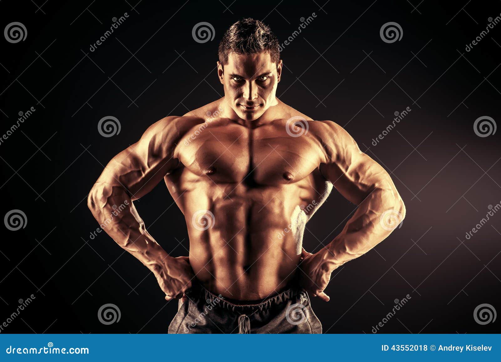 Back light stock photo. Image of muscle, health, healthy - 43552018