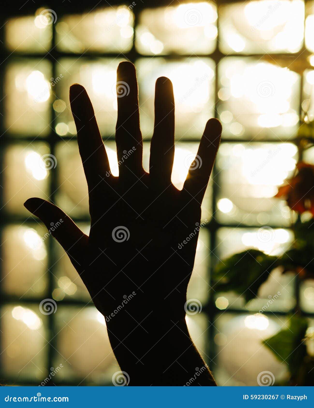 Back light open hand stock image. Image of dark, adult - 59230267