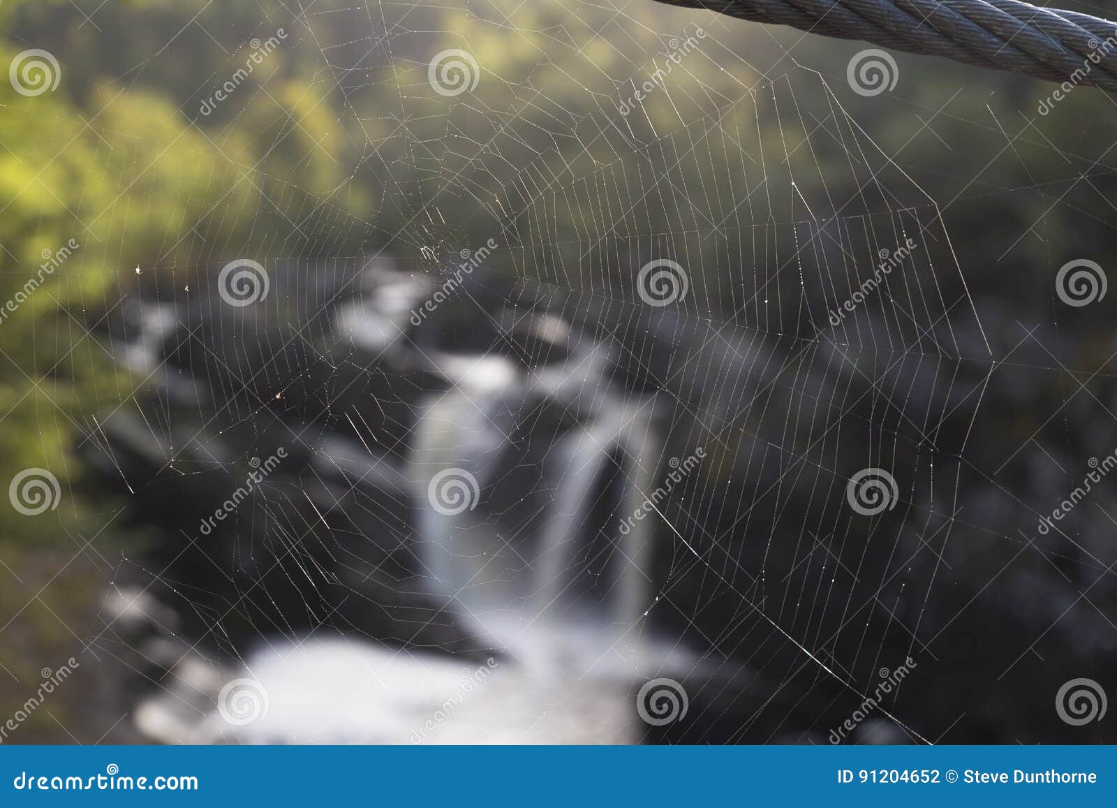 Back Lit Cobweb with Waterfall Background Stock Photo - Image of rope ...
