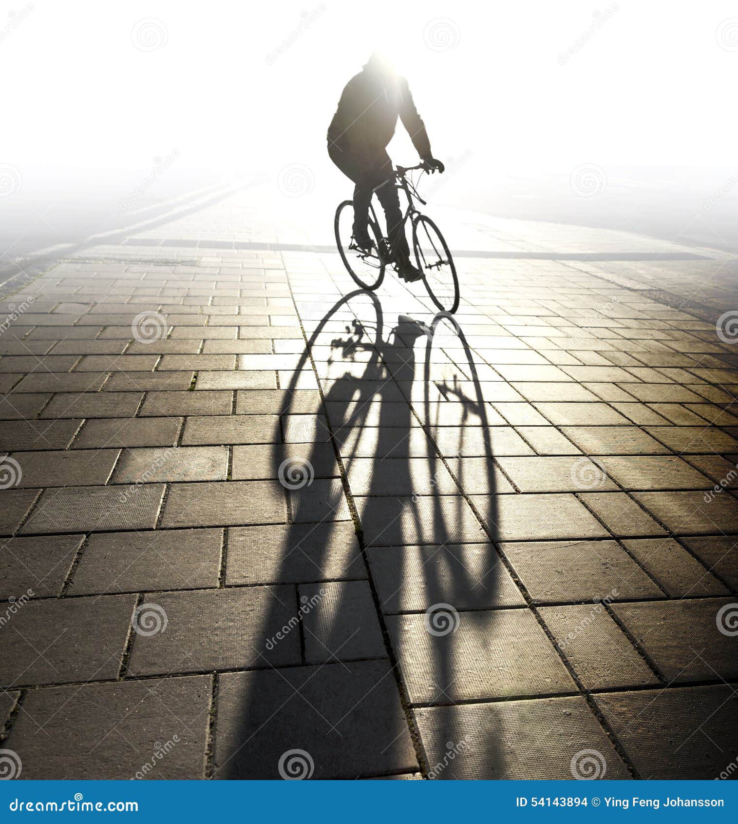 Back Lit Cyclist in Evening Light Stock Photo - Image of transport ...
