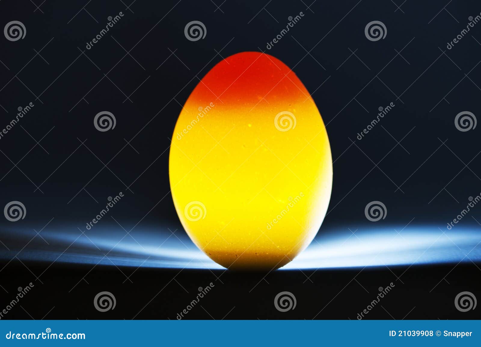 Back lit egg stock photo. Image of concept, breakfast - 21039908