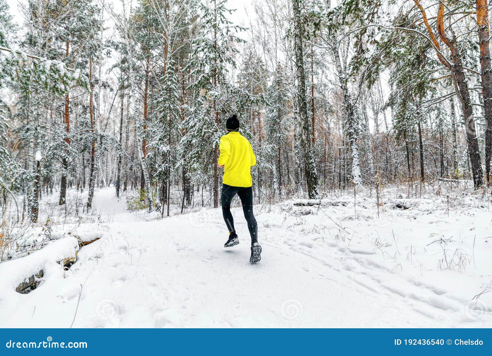 Back Male Runner Run Winter Forest Stock Photo - Image of jogging, real ...