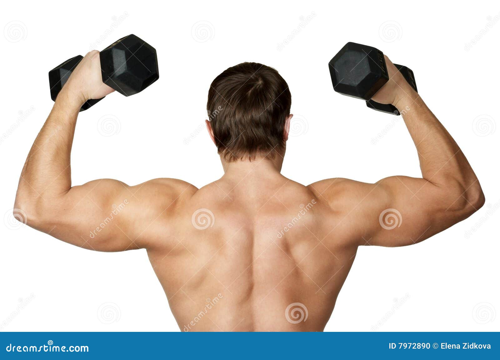 Back the Man with Dumbbells Stock Photo - Image of body, weights: 7972890
