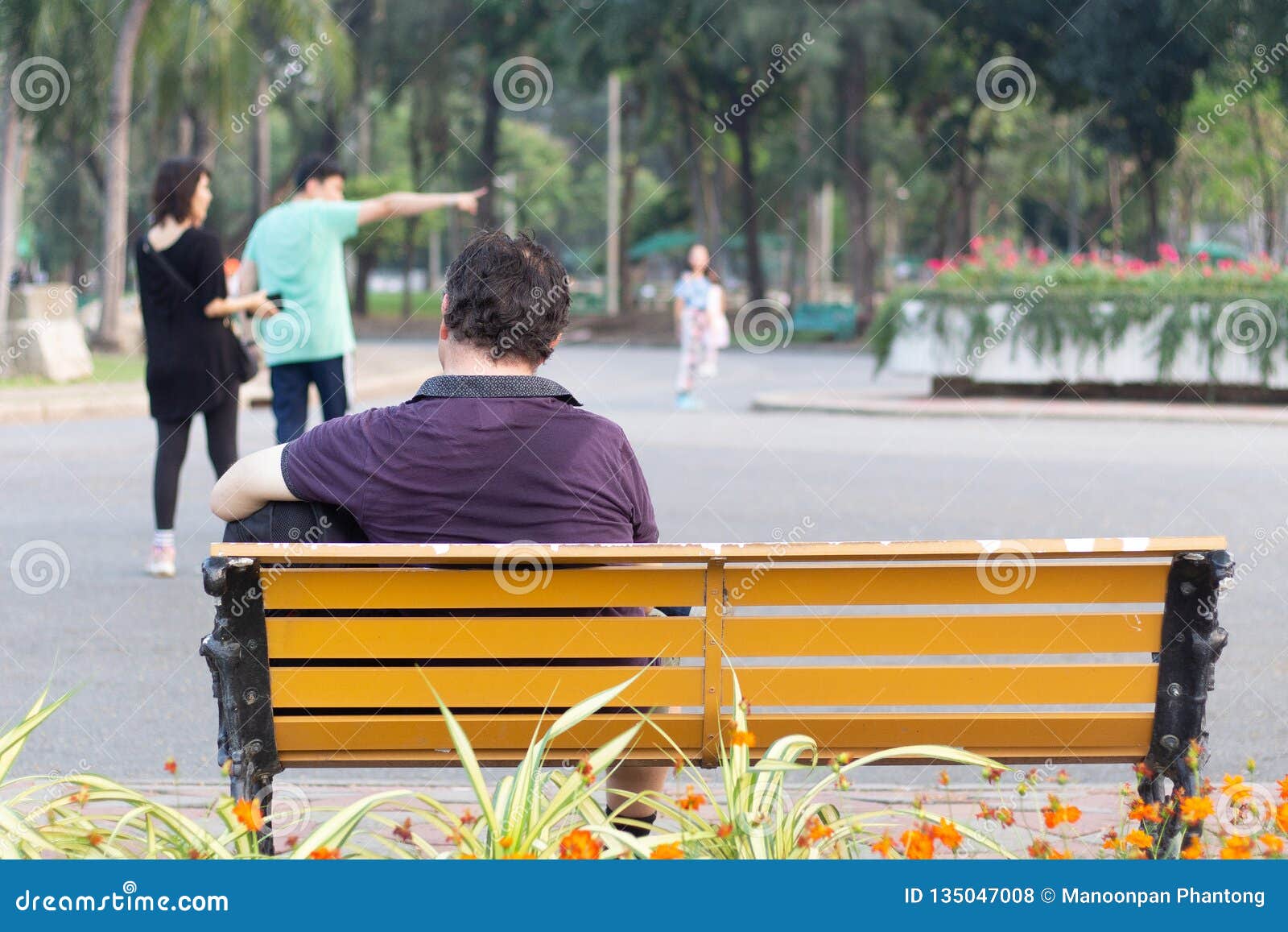 Man sitting on bench park editorial stock photo. Image of family ...