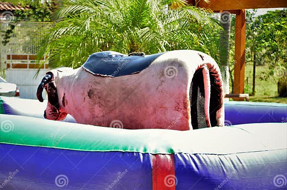 A Mechanical Bull in the Sun in the Yard Stock Photo - Image of nature ...