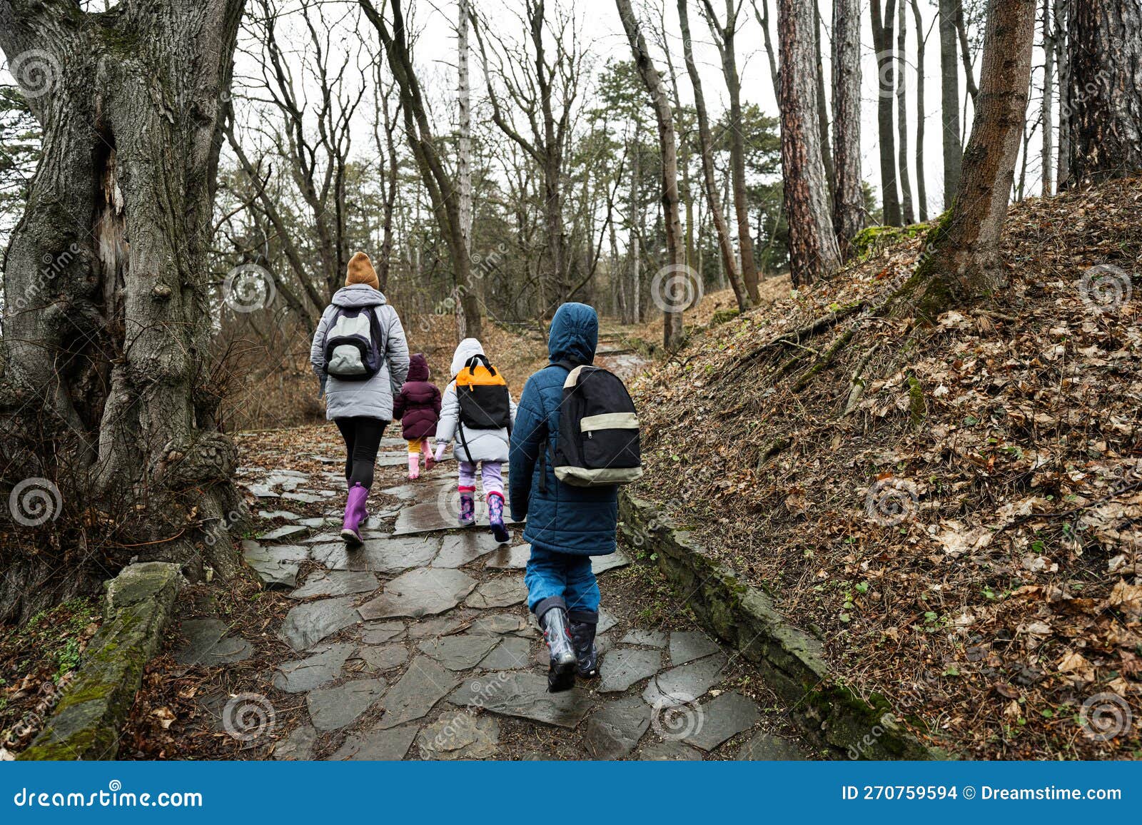 Back of Mother and Children Walking in Forest on Stone Path Stock Photo ...
