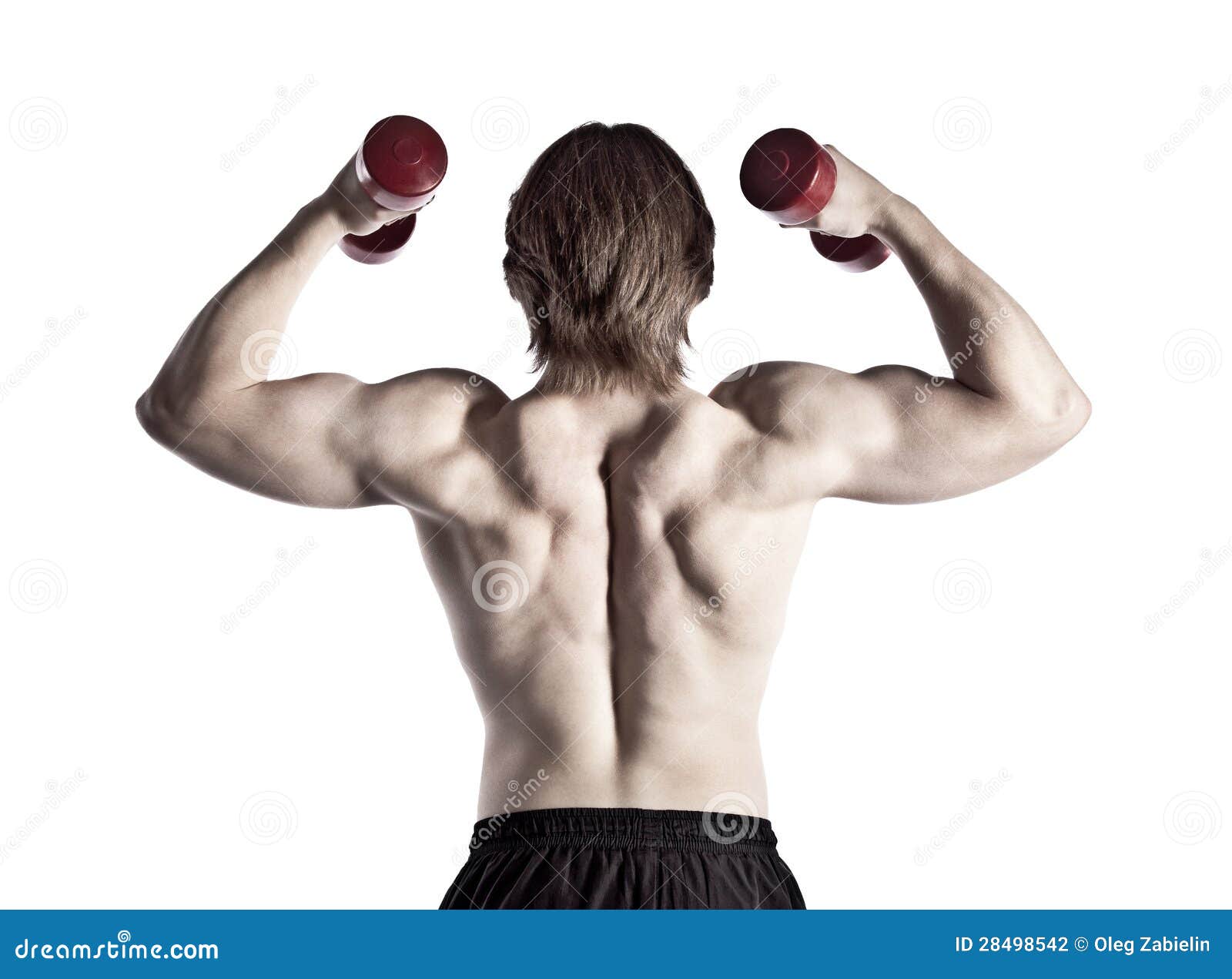 Back muscles stock photo. Image of biceps, athlete, muscular - 28498542