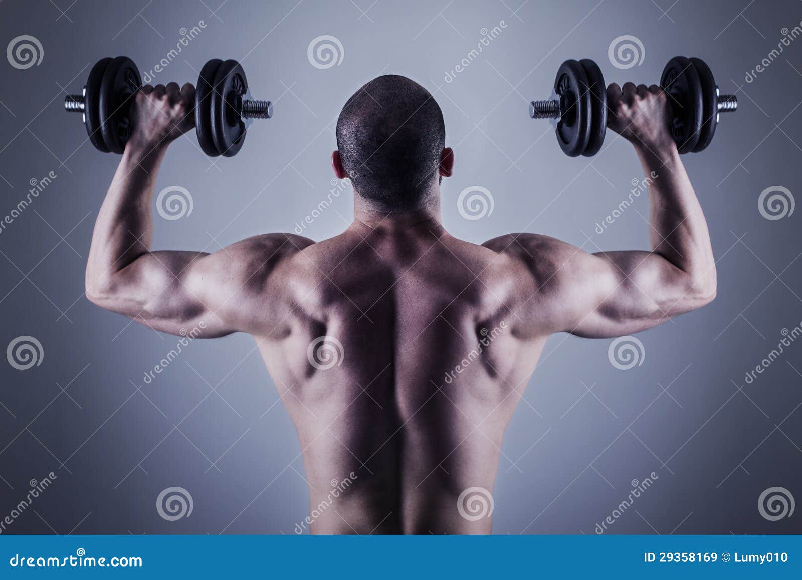 Back muscles stock image. Image of person, exercising - 29358169