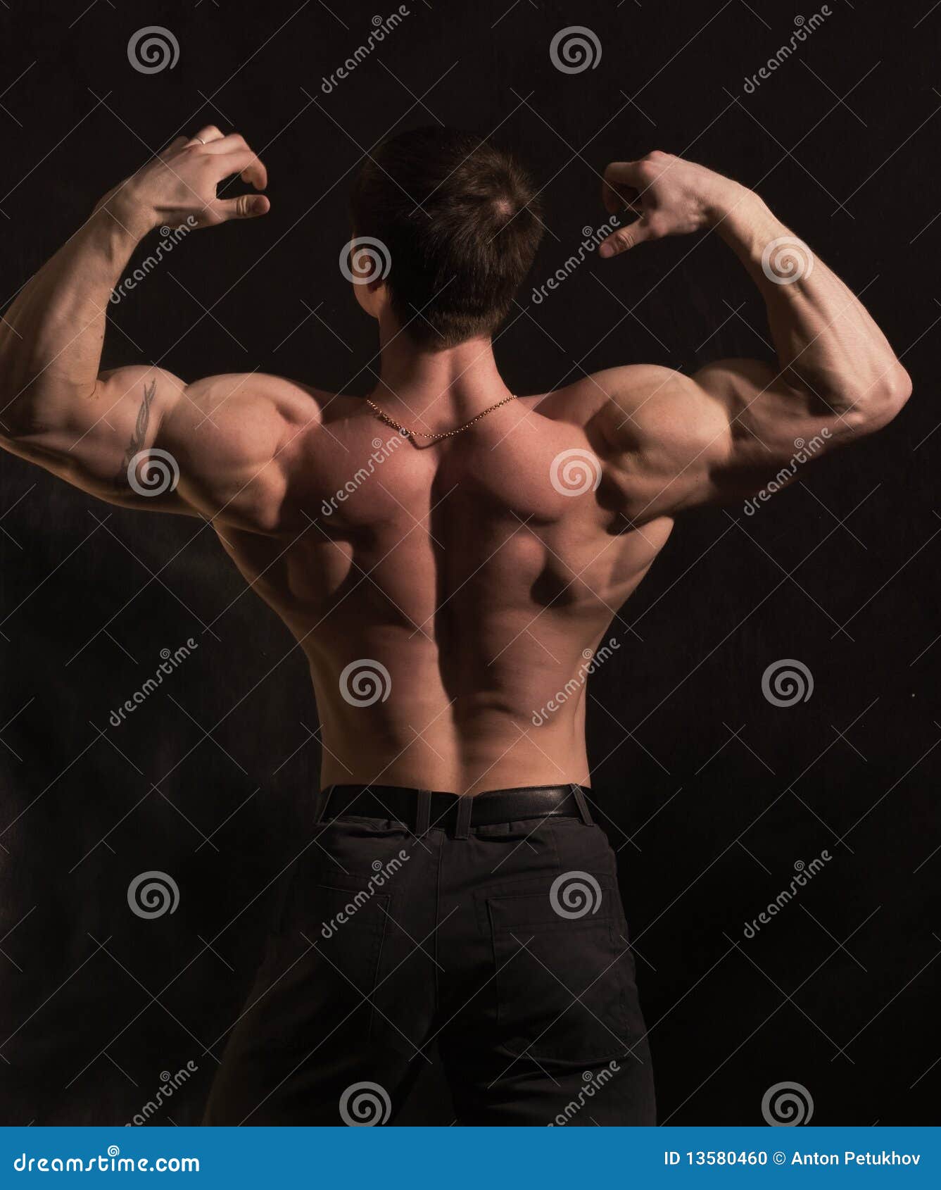 Back of Muscular Bodybuilder Stock Photo - Image of single, adult: 13580460