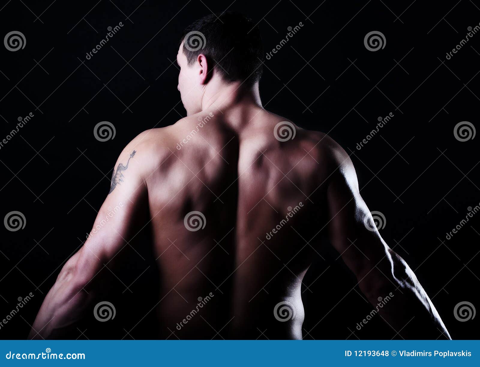 Back of muscular guy stock photo. Image of healthy, fighter - 12193648