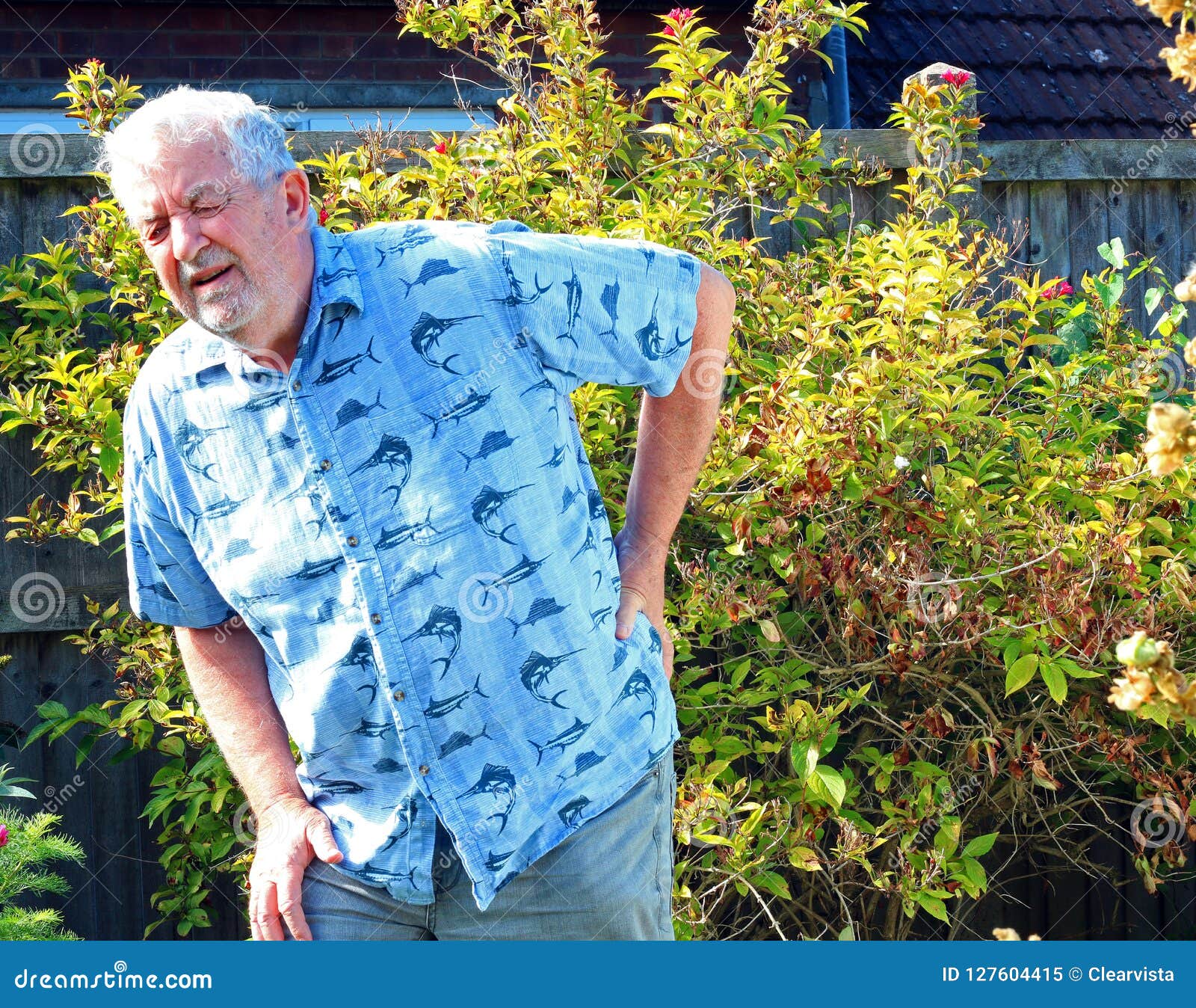 Back Pain. Arthritis or Sciatica. Senior in Pain. Stock Image - Image ...