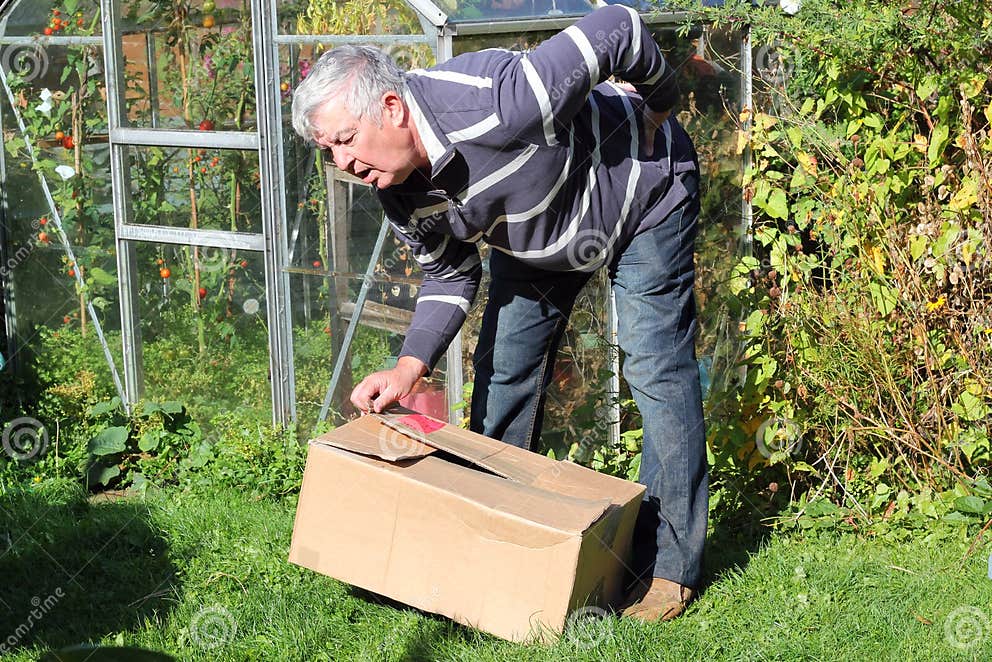 Back Pain Lifting Heavy Box Incorrectly. Stock Image - Image of medical ...