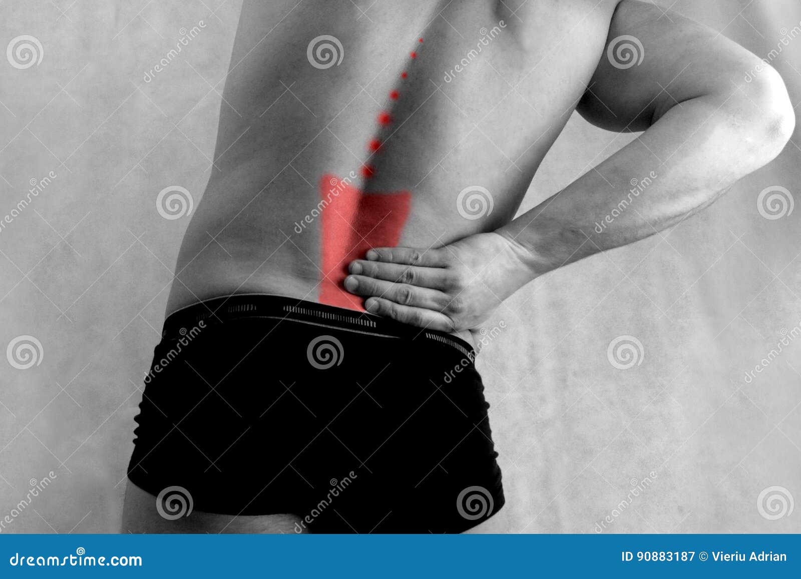 Back Pain Muscles Column Man Black White Stock Image - Image of color ...