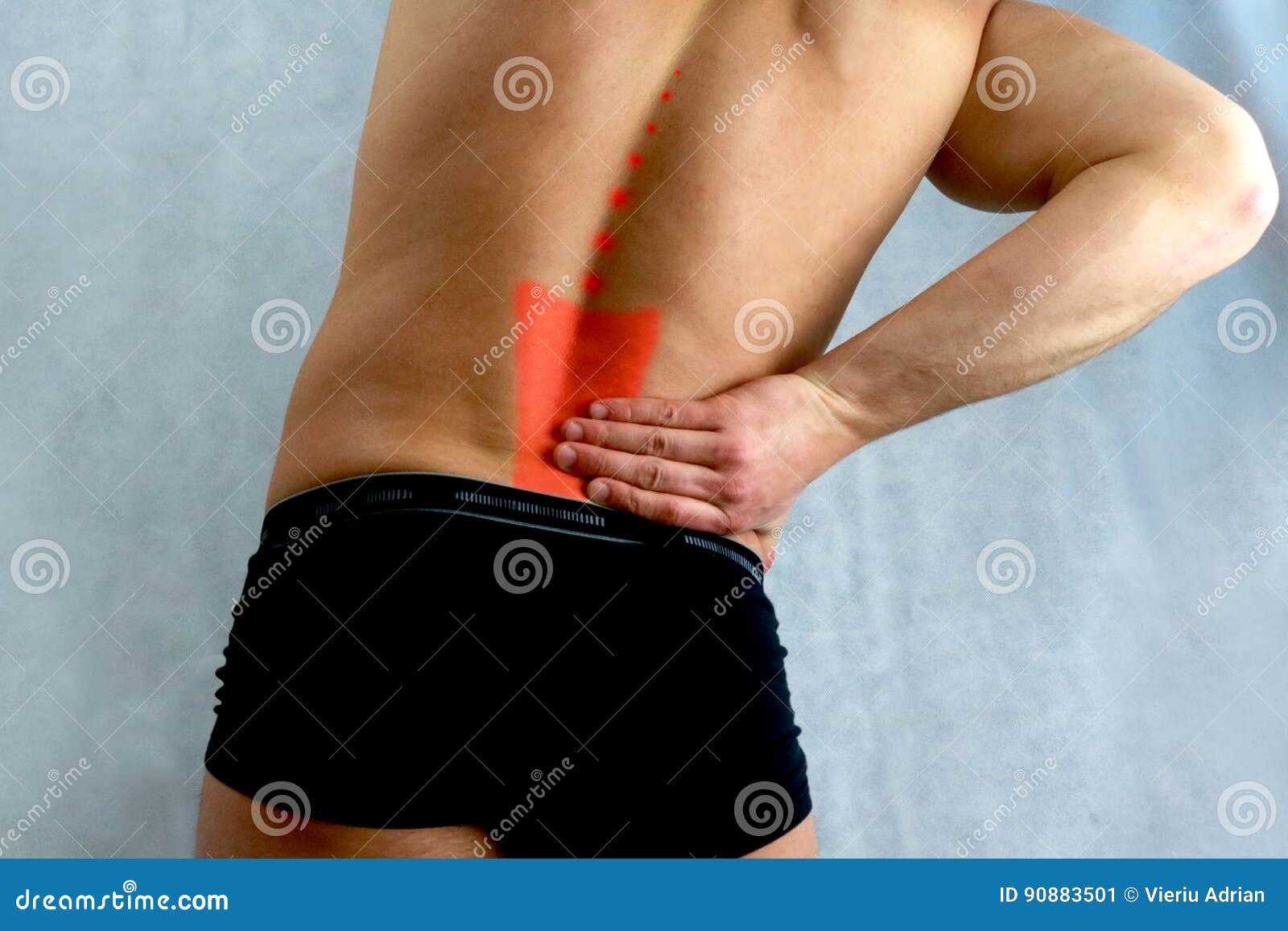 Back Pain Muscles Column Man Black White Stock Image - Image of body ...