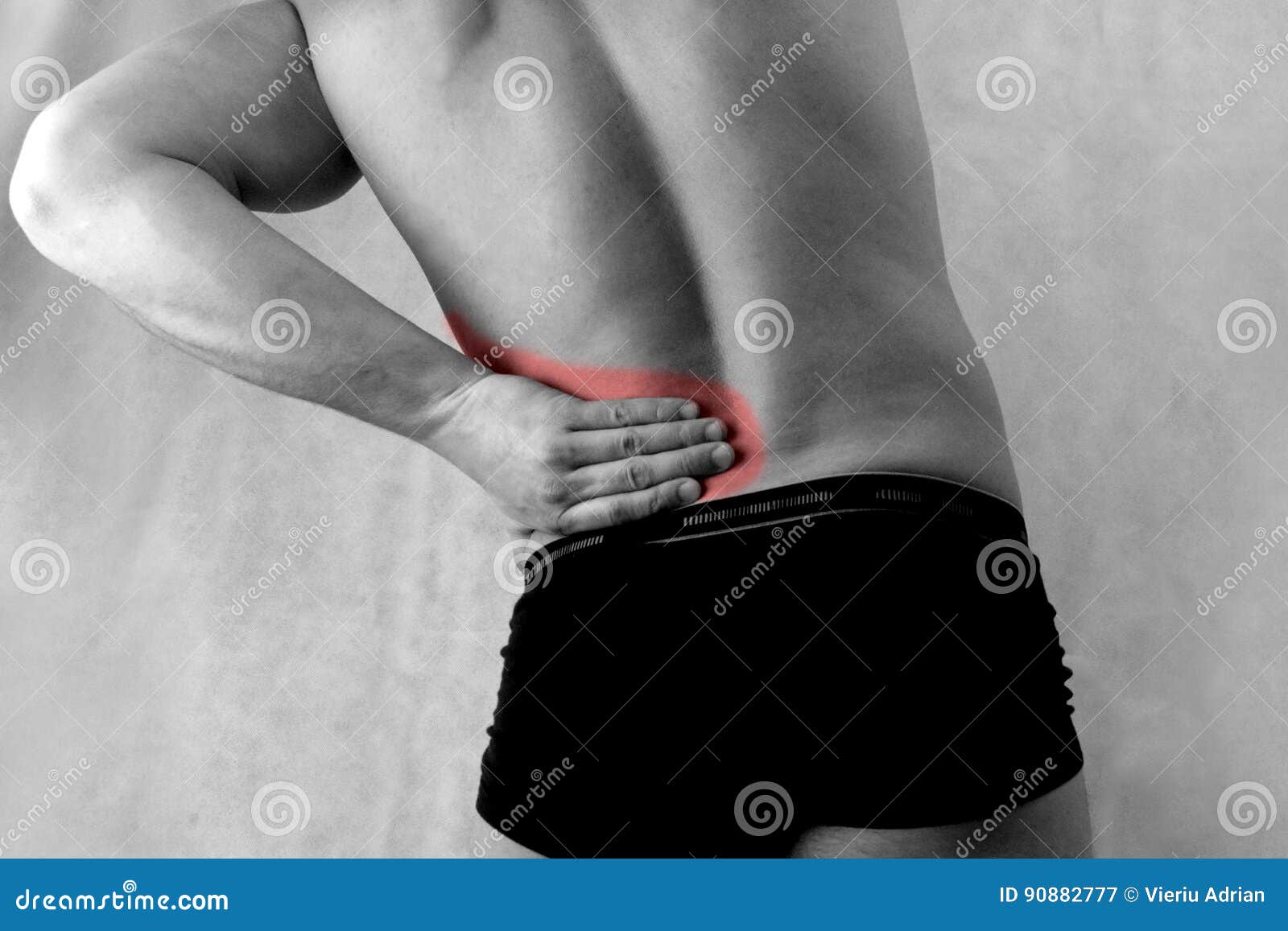 Back Pain Muscles Column Man Black White Stock Image - Image of ...