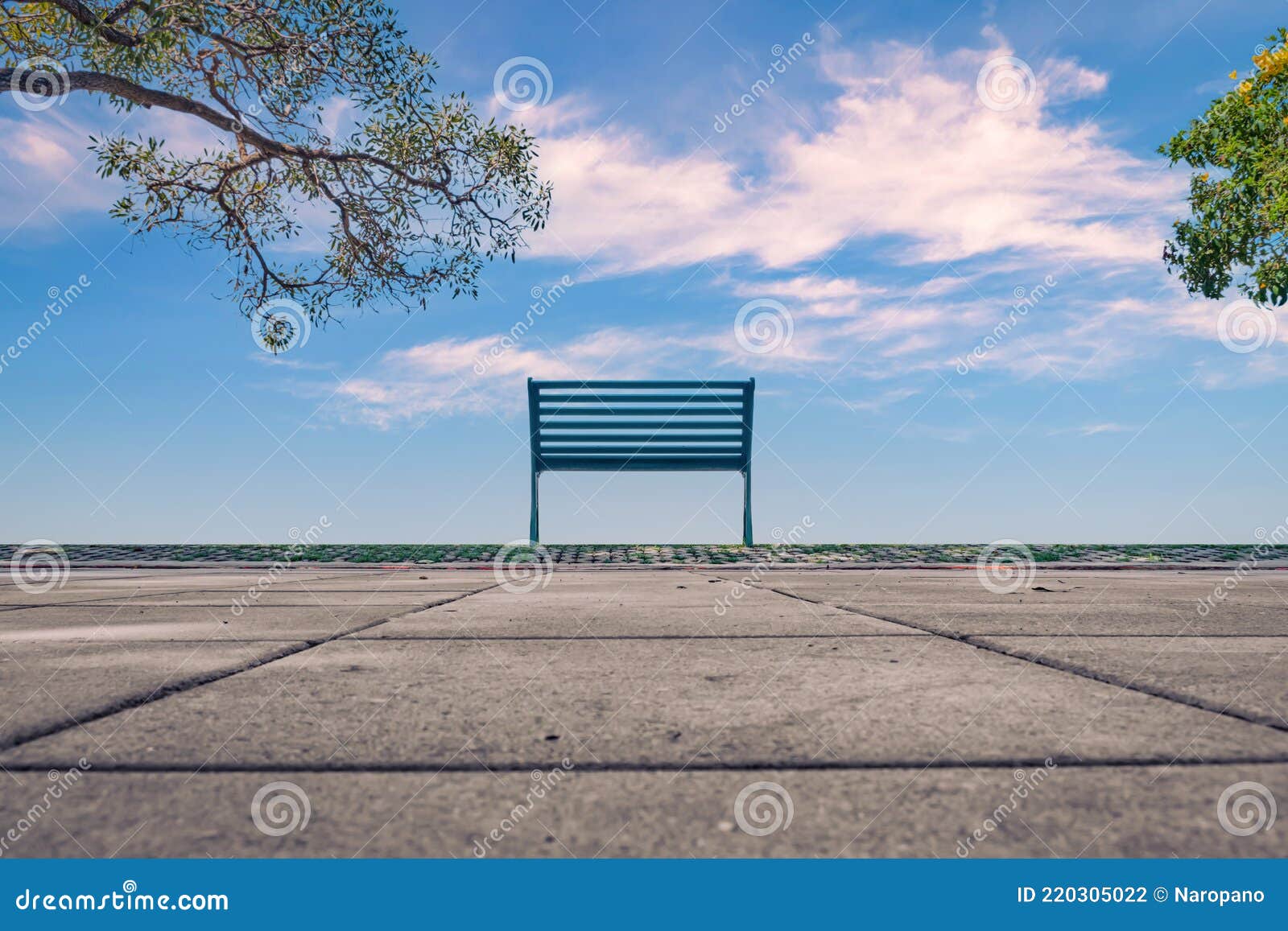 Back of the Park Bench in the Summer Park Stock Photo - Image of autumn ...