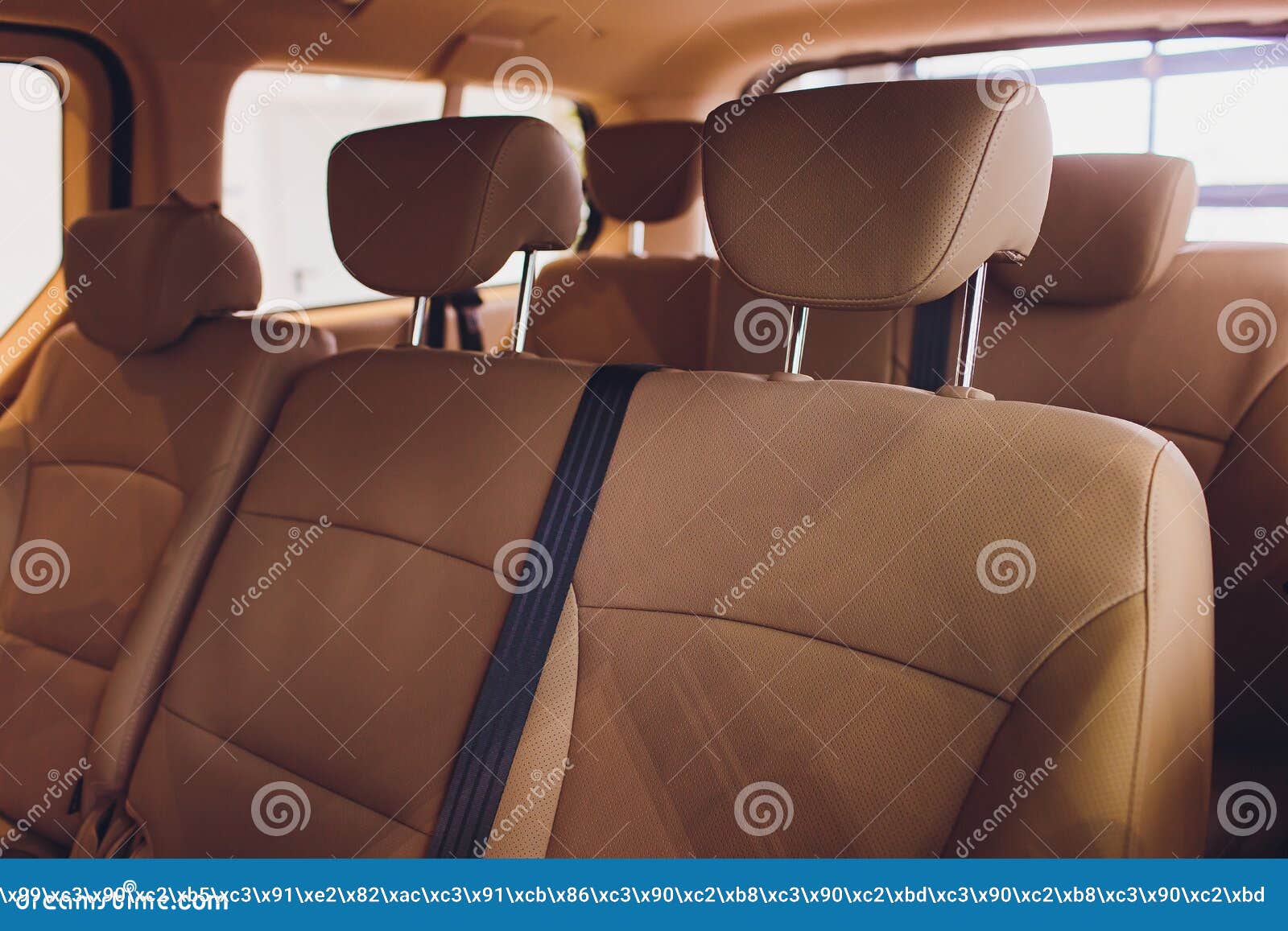 Back Passenger Seats in Modern Luxury Comfortable Car. Stock Image ...