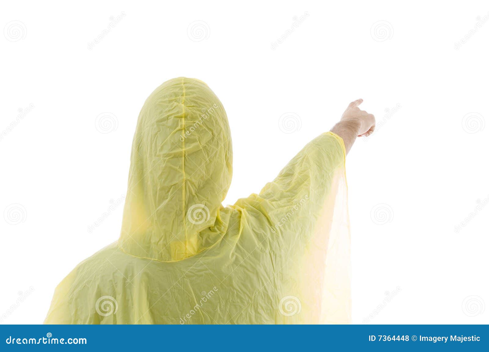 Back pose of pointing male stock photo. Image of caucasian - 7364448
