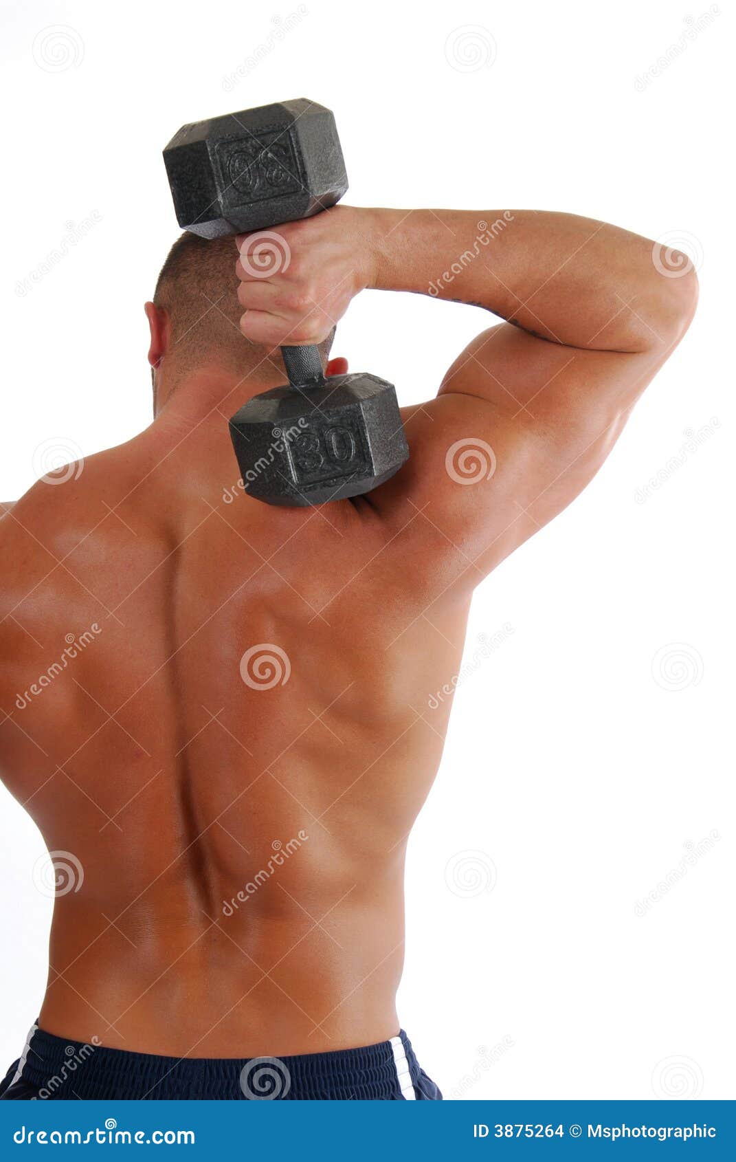Back Press stock photo. Image of torso, shirtless, dumbells - 3875264