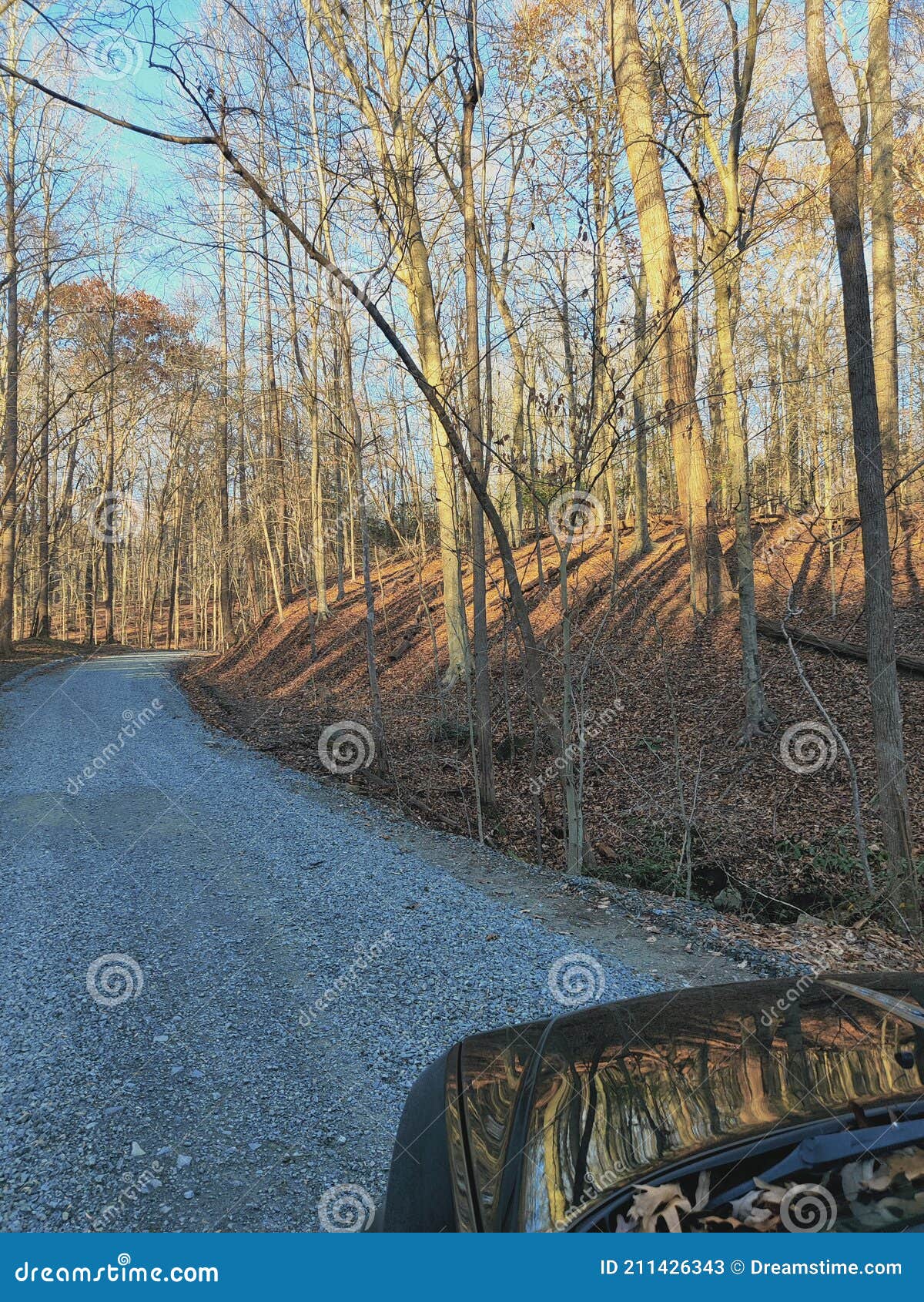 Back Road Driving, Sun Shinning! Stock Image - Image of nature ...