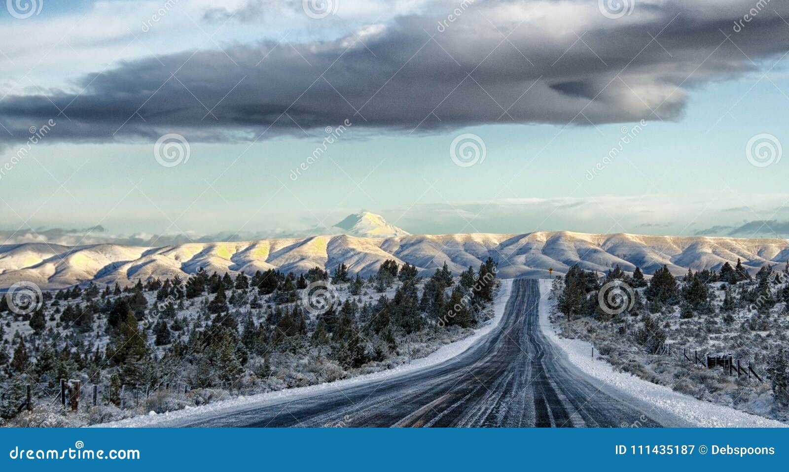 Back Road on a Vacation in Eastern Oregon Stock Image - Image of trees ...
