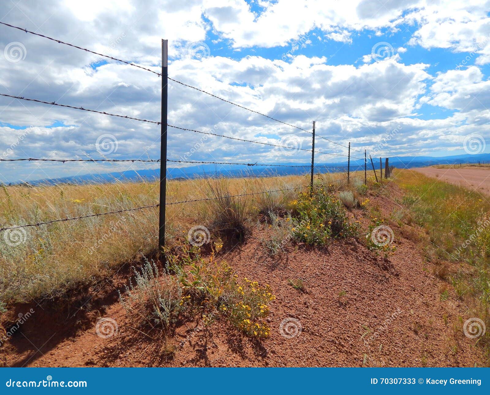 Back Roads in Red Mountain Colorado Stock Image - Image of adventures ...