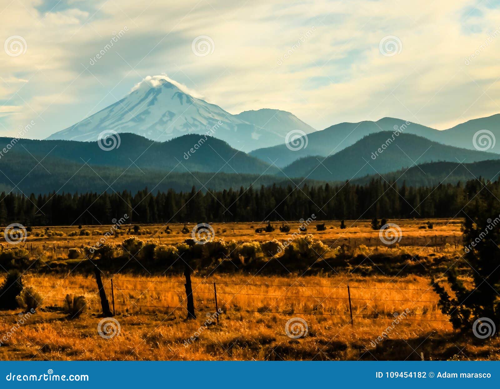 Back roads to shasta stock photo. Image of back, grass - 109454182