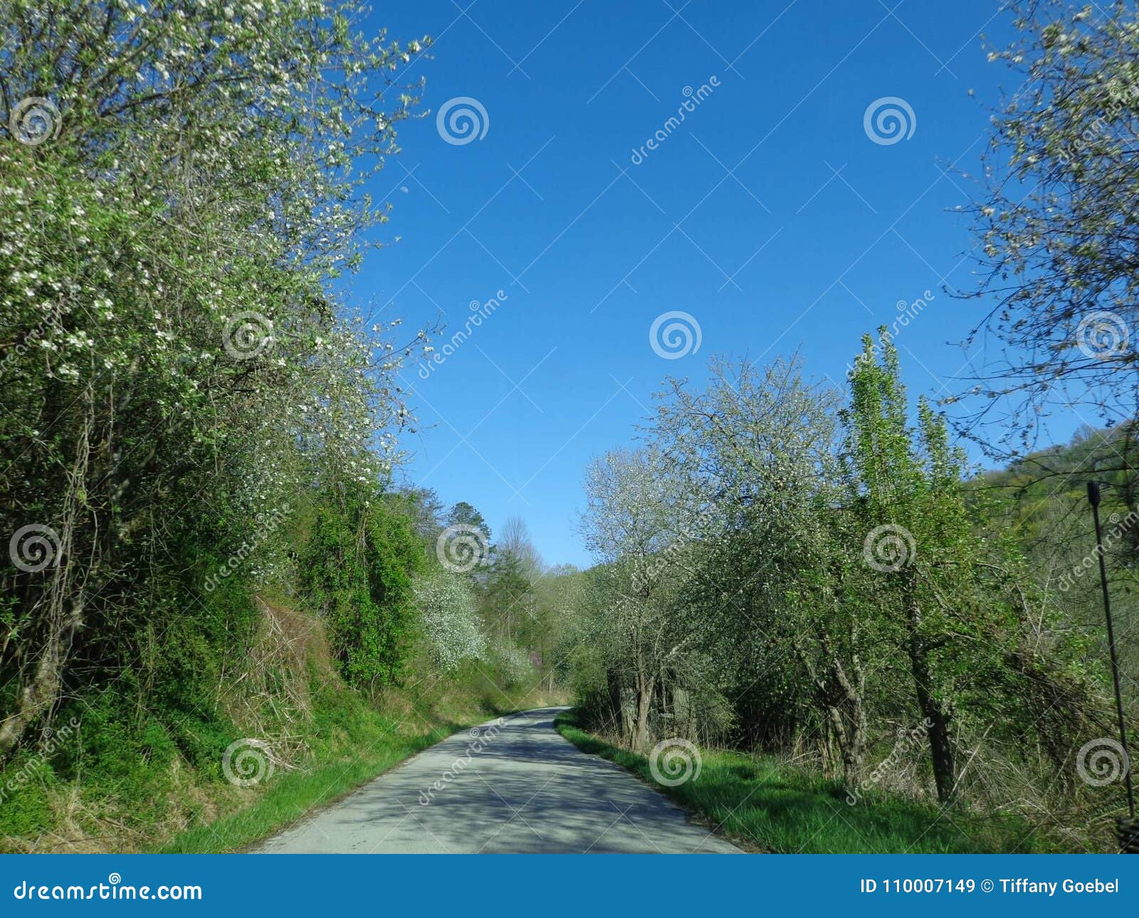Spring in kentucky stock image. Image of trees, roads - 110007149