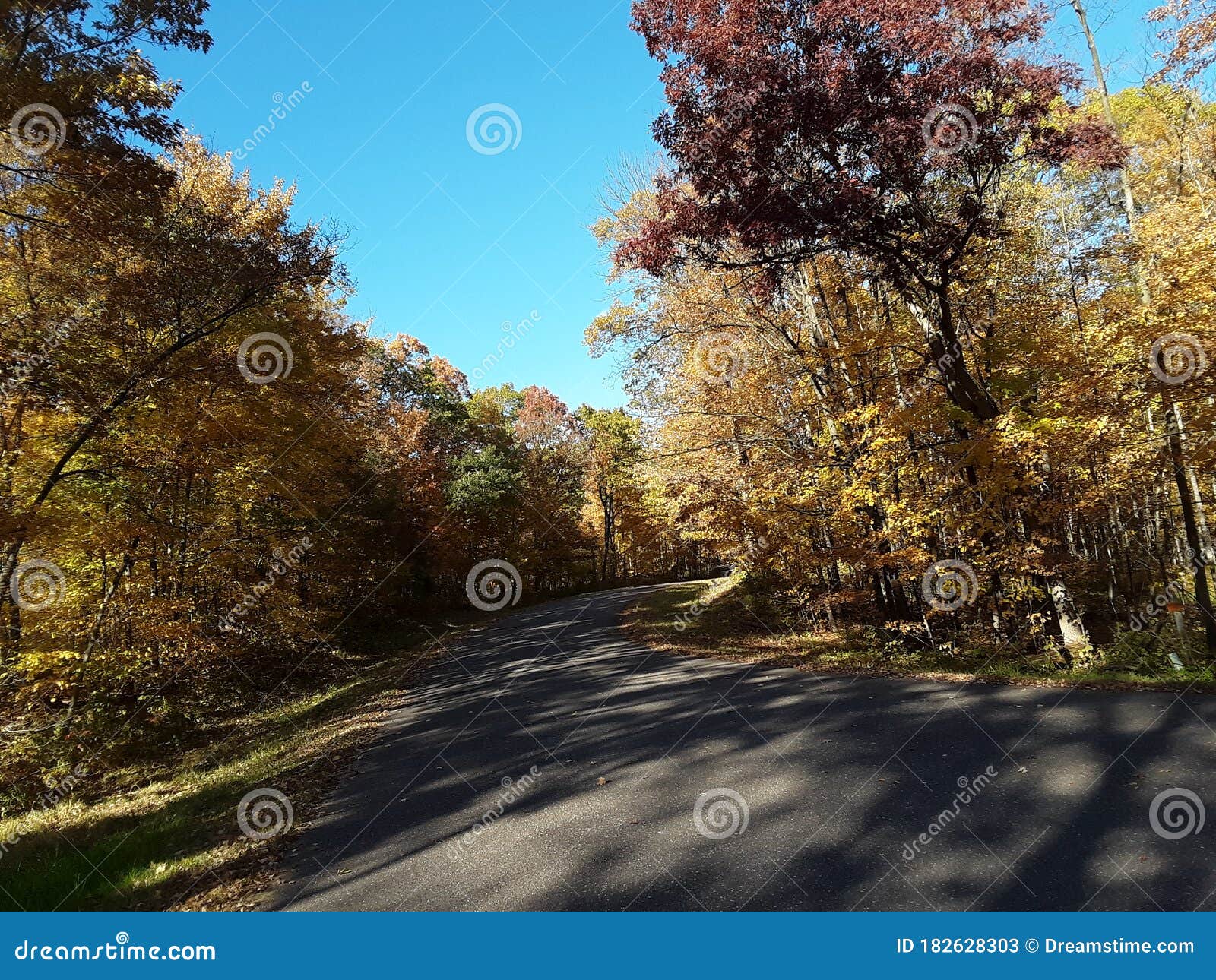 Back roads stock image. Image of forest, tree, autumn - 182628303