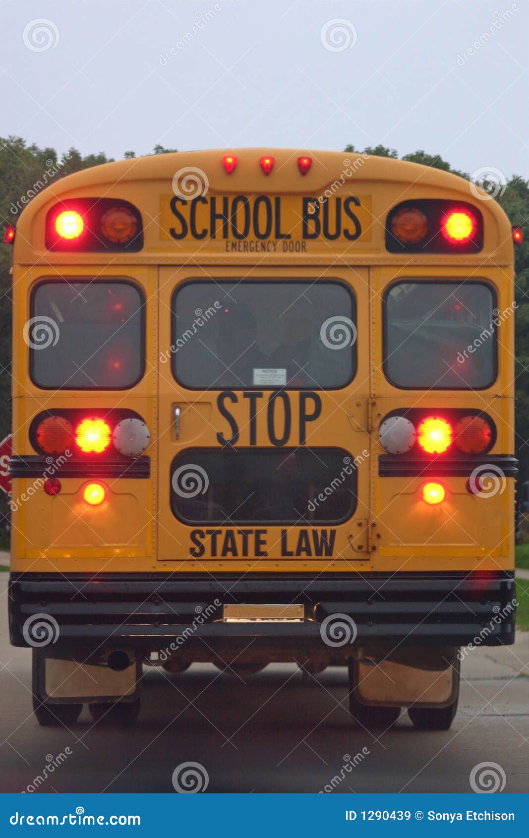 Back of School Bus stock image. Image of drive, passenger - 1290439