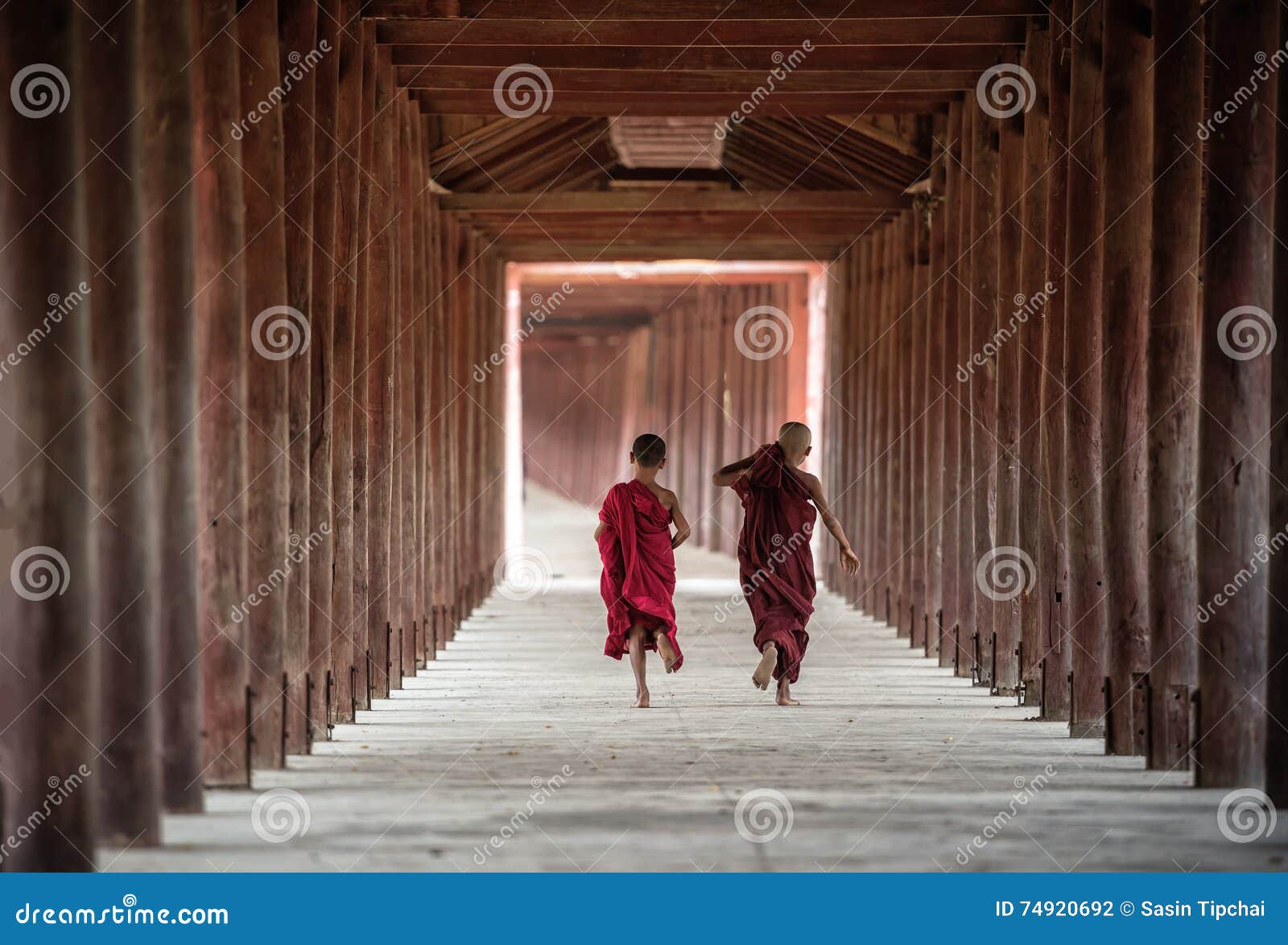 Back Side Buddhist Novice Walking Temple Photos - Free & Royalty-Free ...