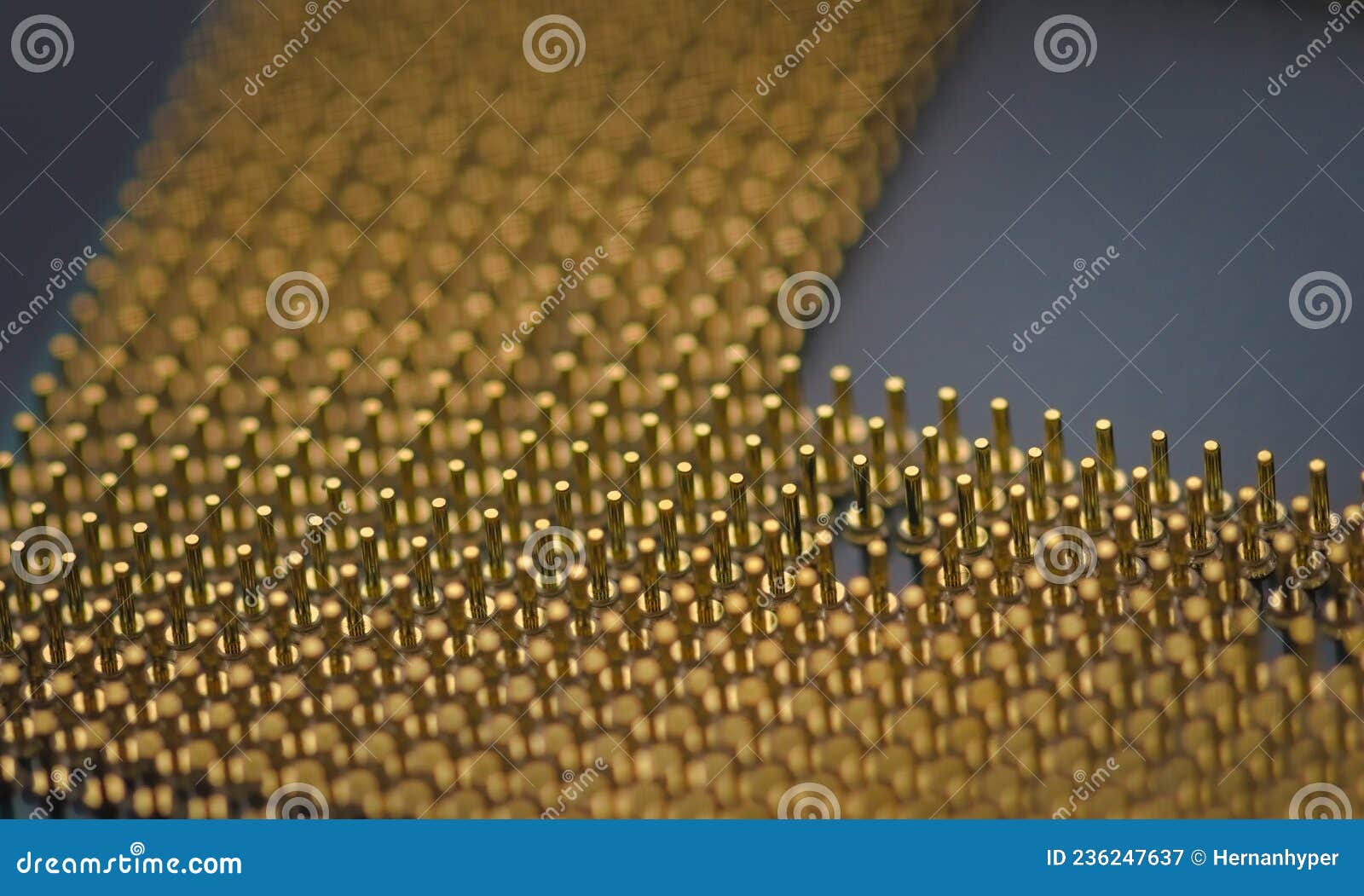 Back Side of a Computer Processor, Showing the Golden Pin Layout ...