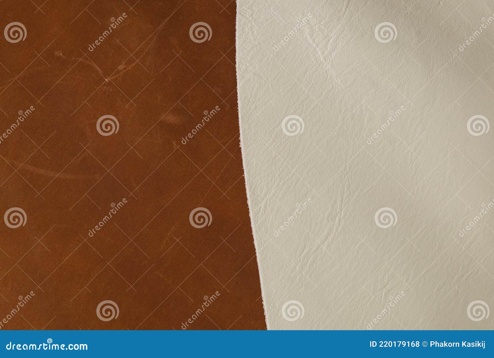 Back Side of a Genuine Leather Texture Background . Stock Photo - Image ...