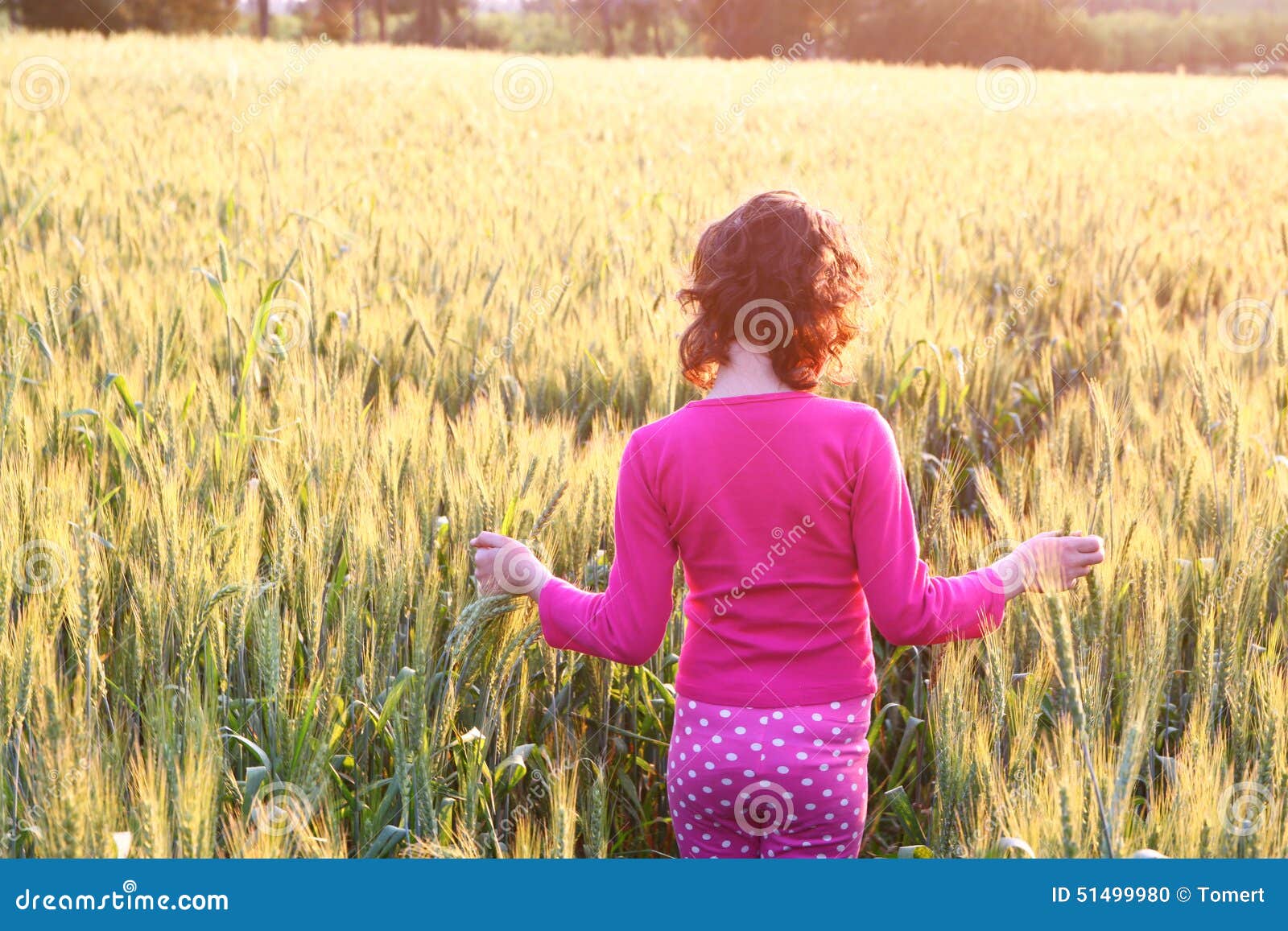 Back Side of Happy Kid Looking at the Sunset in Wheat Field , Explore ...