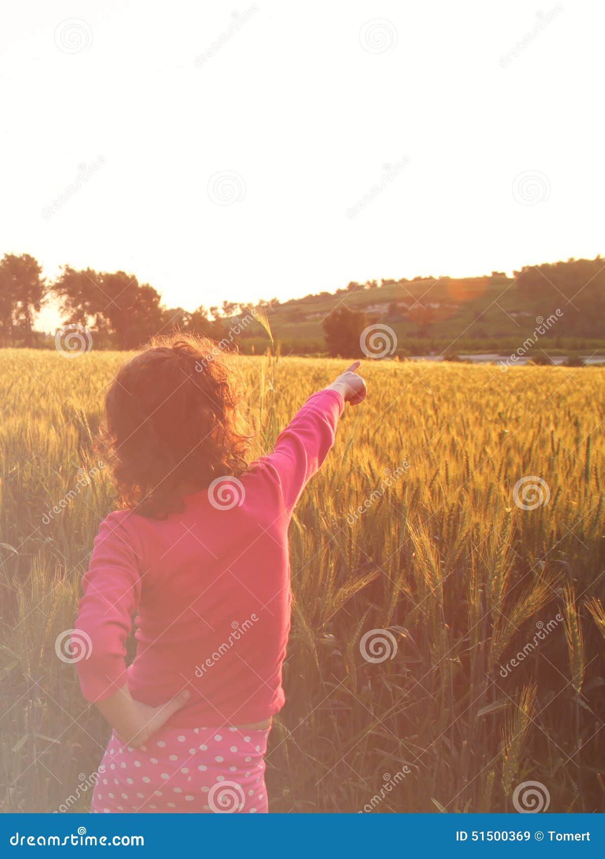Back Side of Happy Kid Looking at the Sunset in Wheat Field , Explore ...
