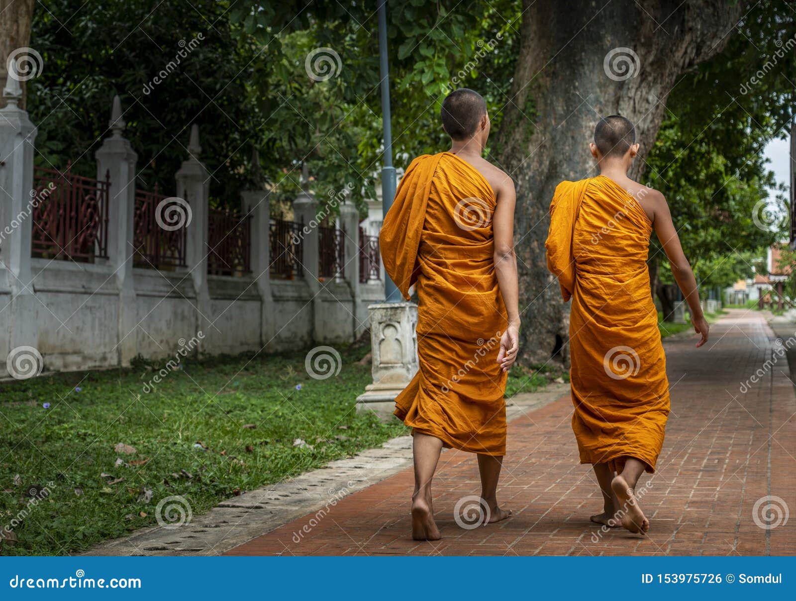 Back Side Image of Two Monks Editorial Photo - Image of people ...