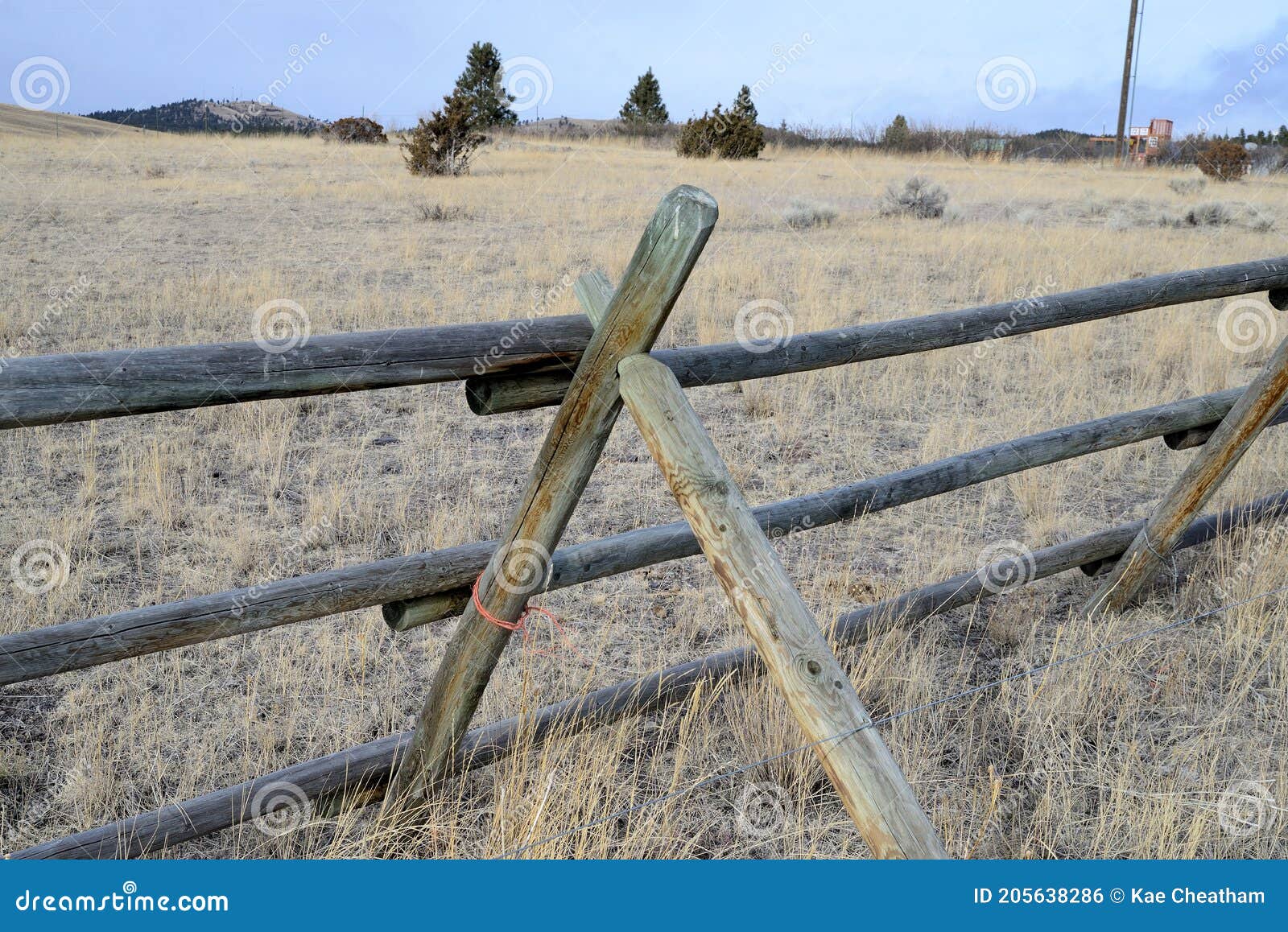 Back side jack leg stock photo. Image of montana, back - 205638286