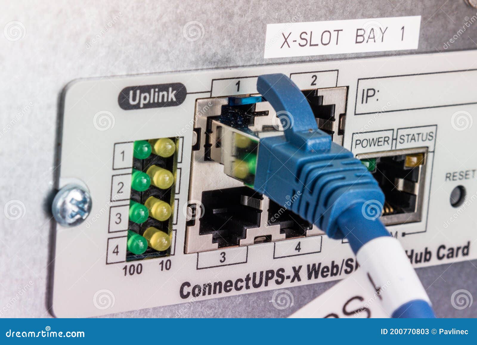 Back Side of a Server with Ethernet Cable Stock Image - Image of server ...