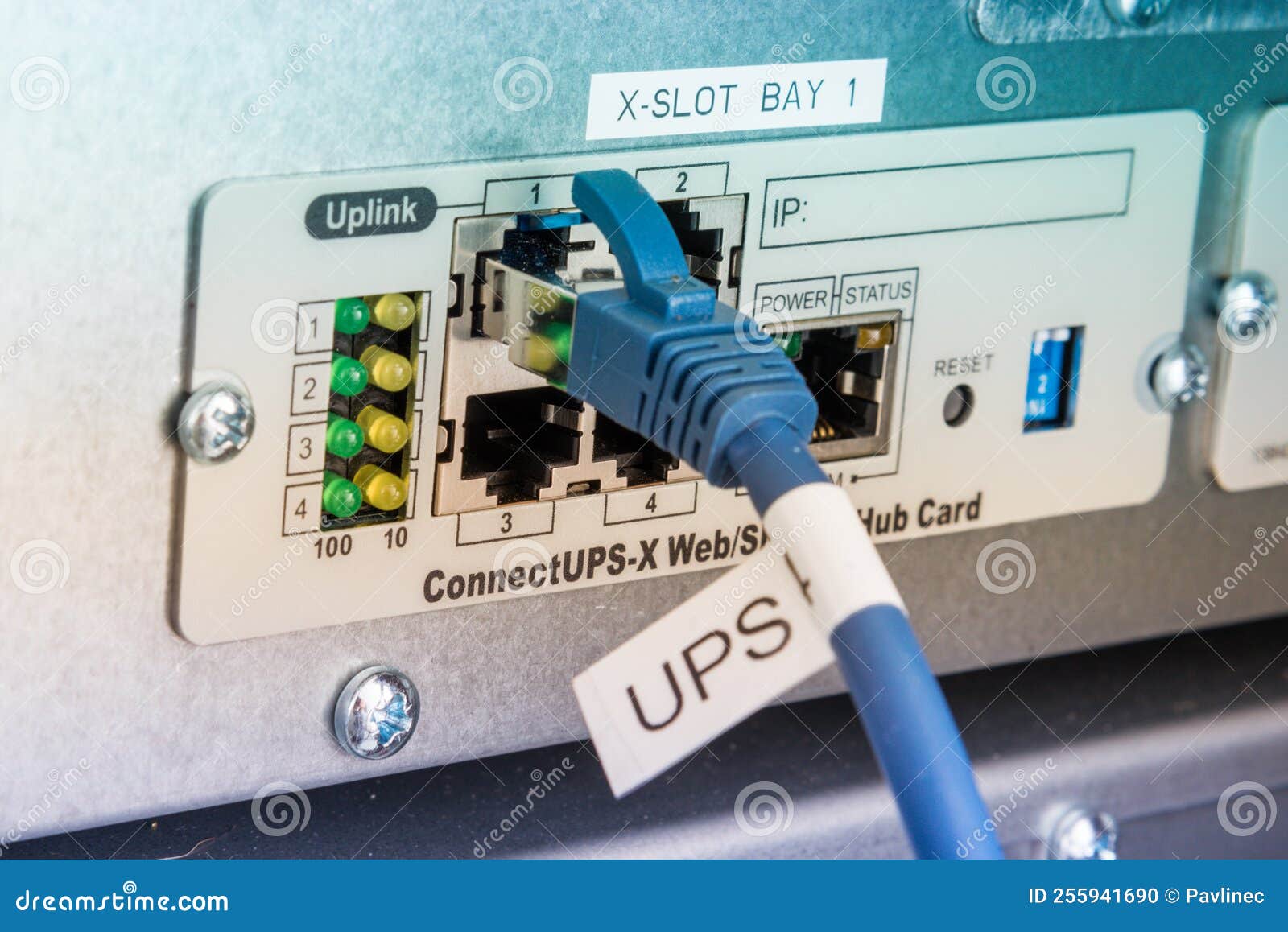 UPS - Back Side of a Server with Ethernet Cable Connected in the Slot ...