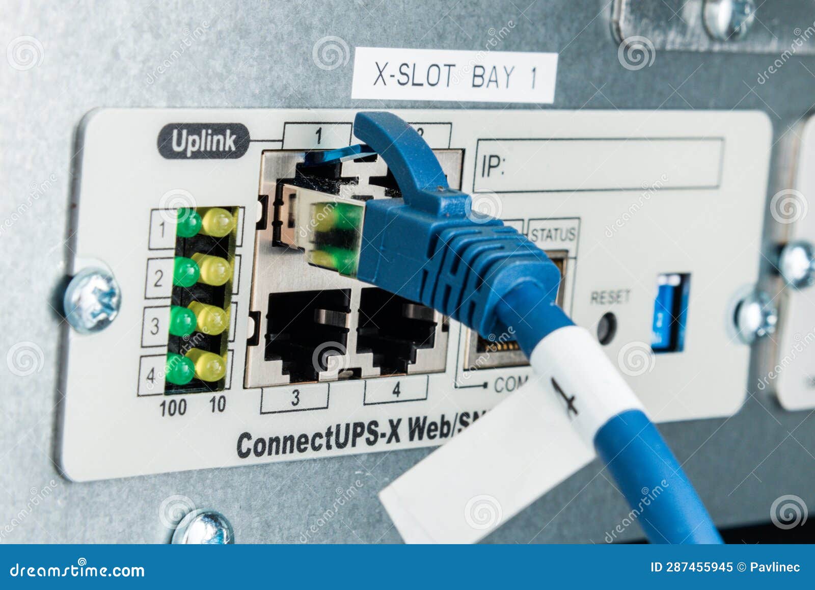 Back Side of a Server with Ethernet Cable Connected into the Slot Stock ...