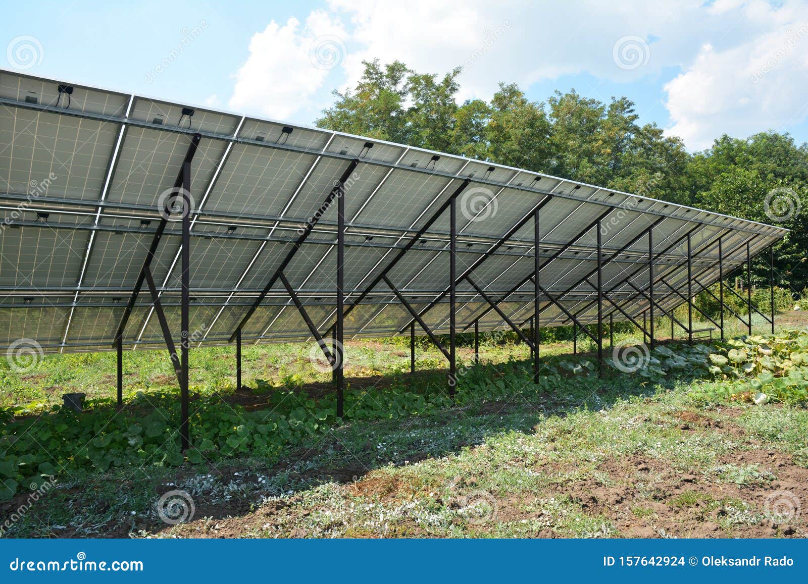 Back Side of Solar Panels Plant in the Garden Stock Photo - Image of ...