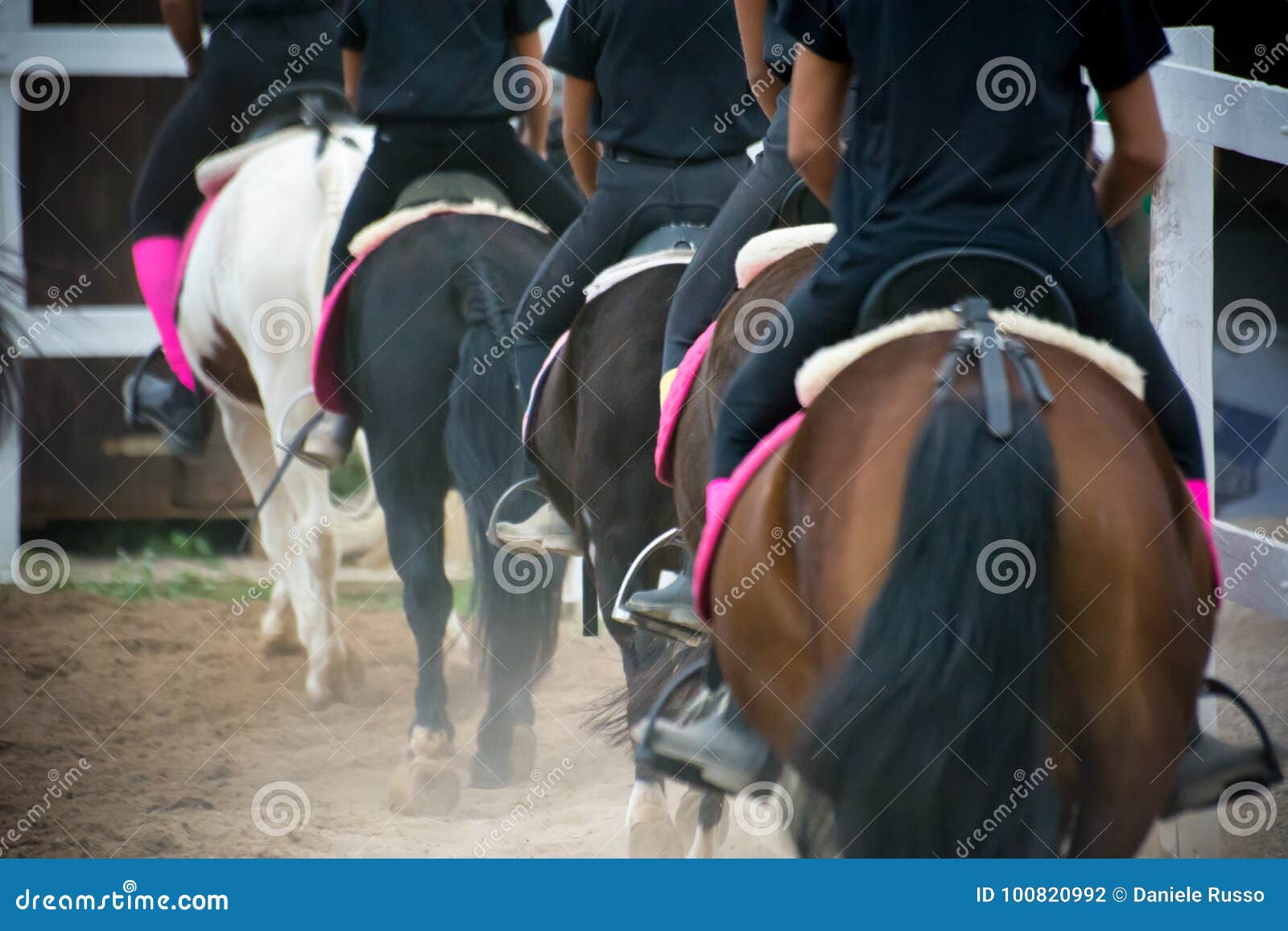 Back Side View of a Group of Riders Stock Photo - Image of horse ...