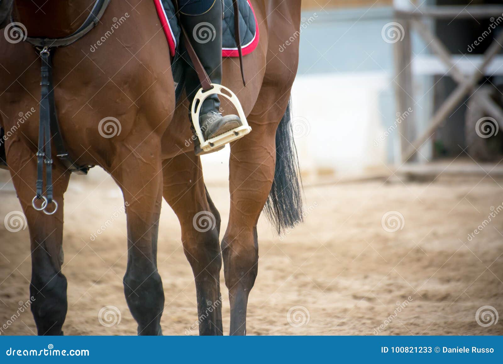 Back Side View of a Group of Riders Stock Image - Image of black, ride ...