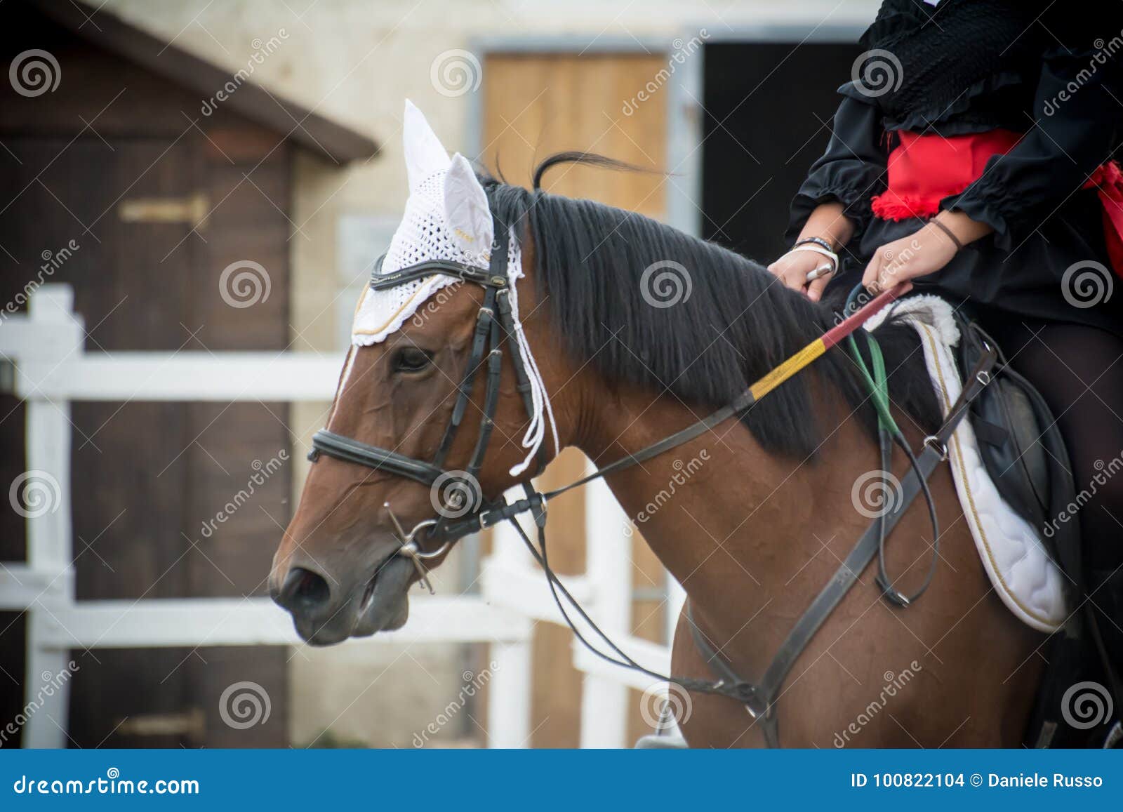Back Side View of a Group of Riders Stock Photo - Image of jockey ...