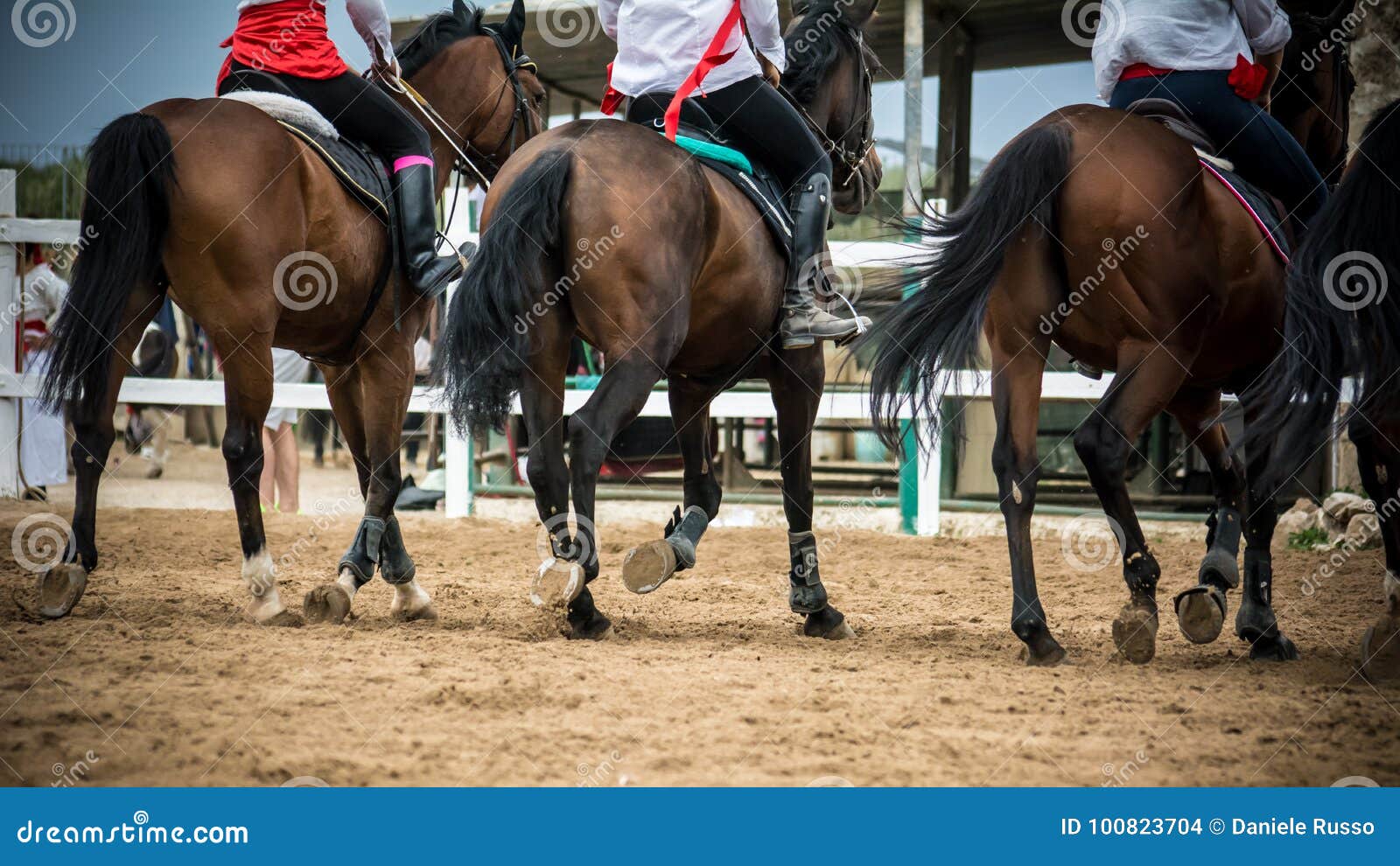 Back Side View of a Group of Riders Stock Photo - Image of brown ...
