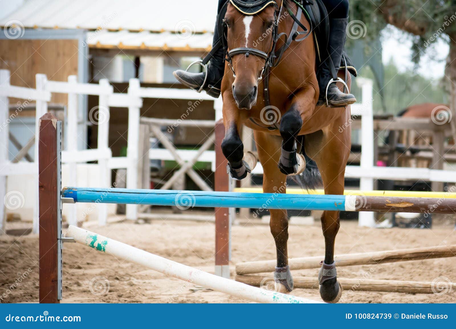 Back Side View of a Group of Riders Stock Image - Image of nature ...