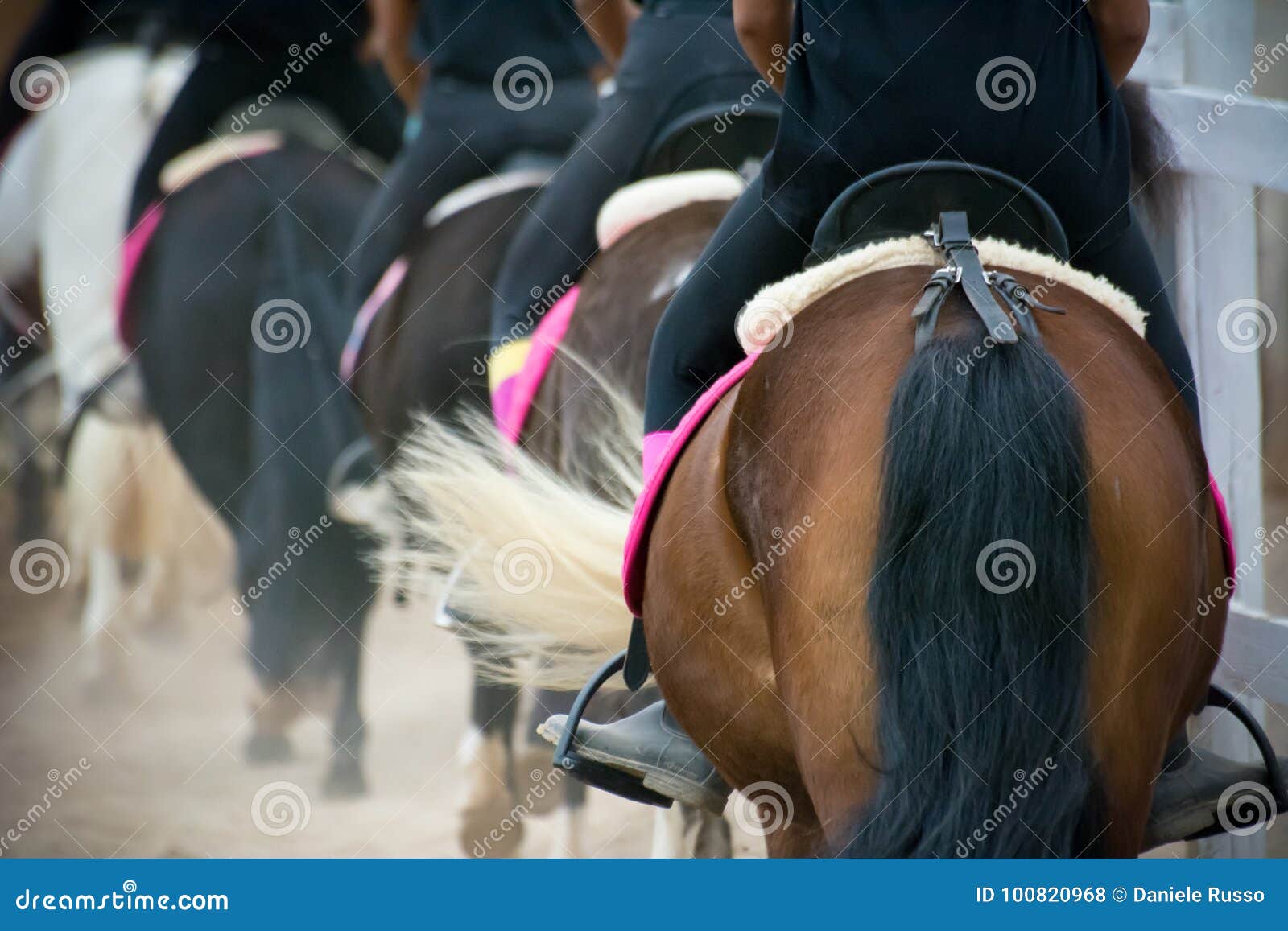 Back Side View of a Group of Riders Stock Photo - Image of competition ...