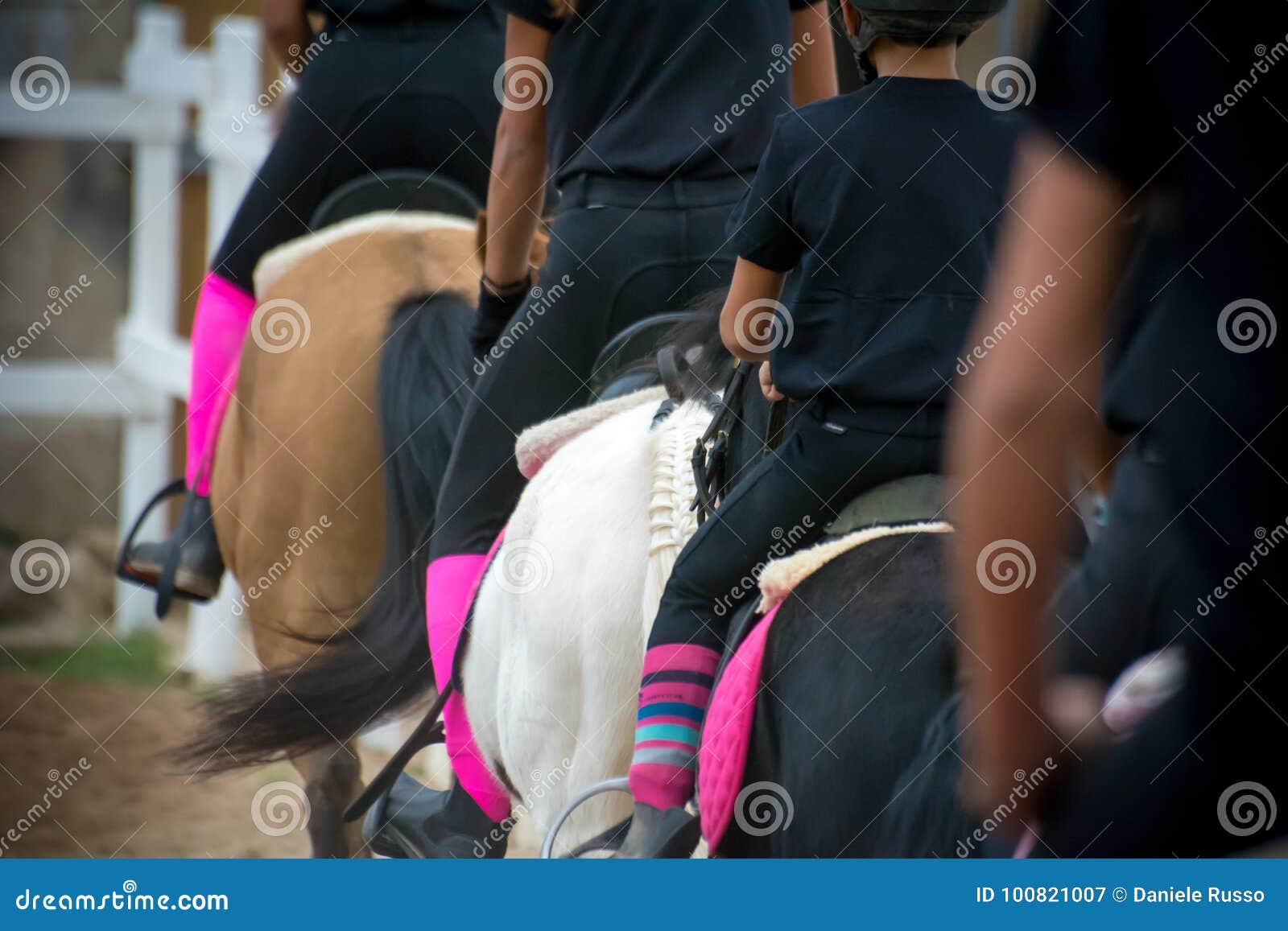 Back Side View of a Group of Riders Stock Image - Image of equitation ...